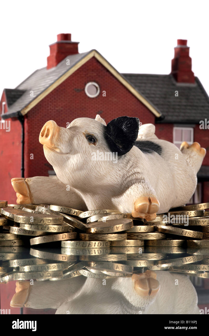 Greedy pig hi-res stock photography and images - Alamy