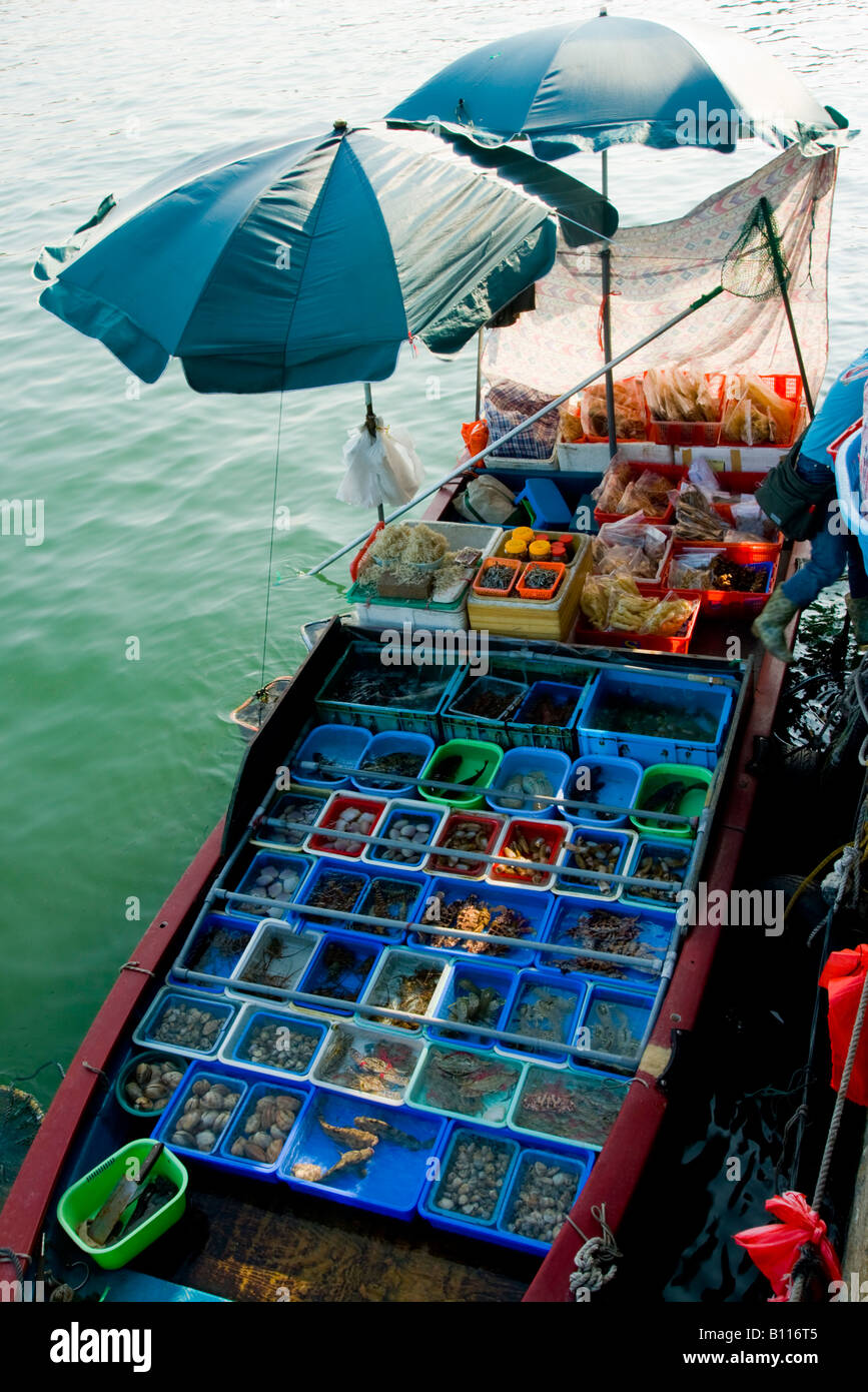 asia china hong kong Saikung new territories 2007 fish boats Stock Photo - Alamy