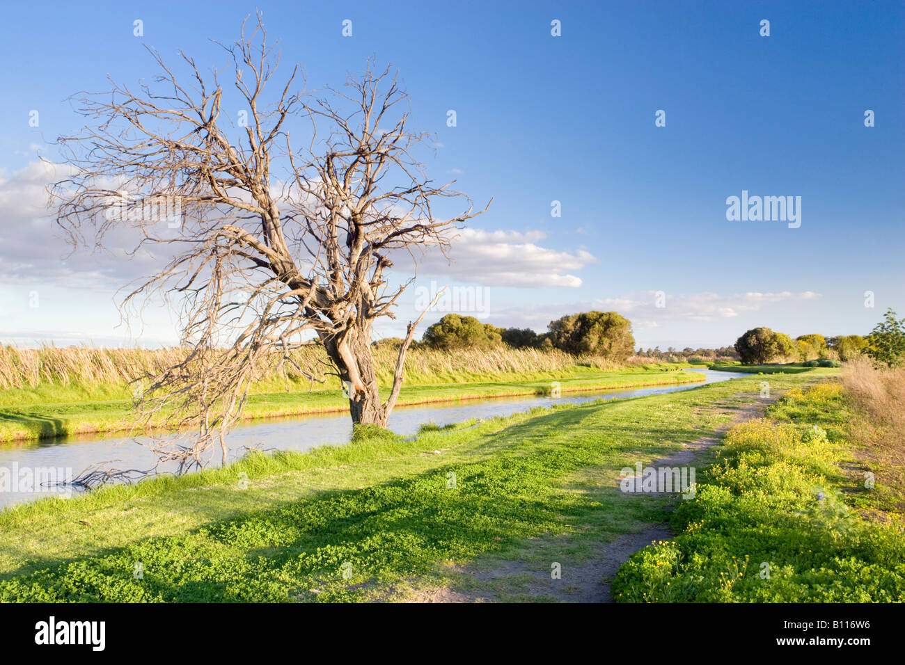 A man made rainwater drainage channel at the natural catchment area of ...