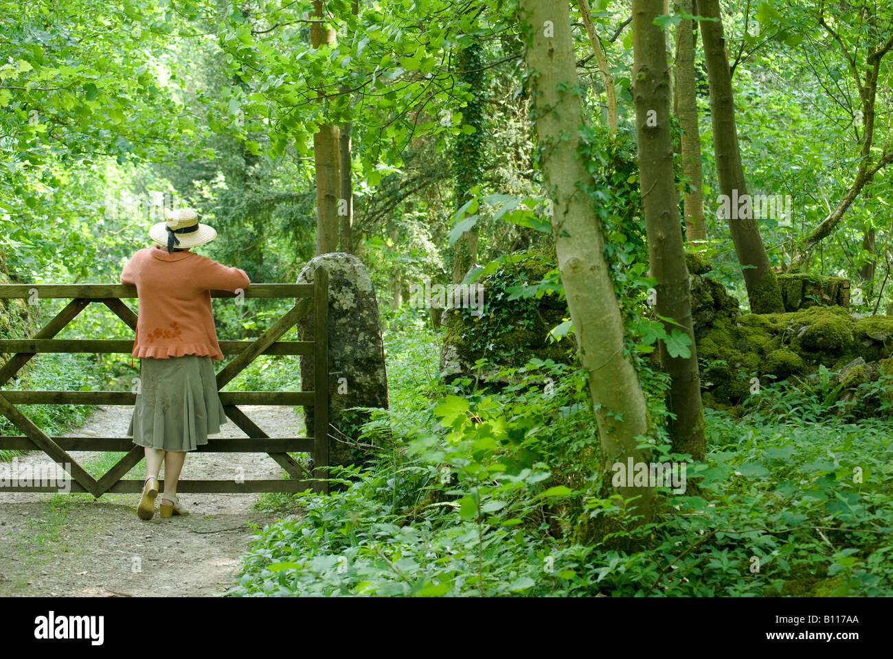 smartly dressed woman looking over wooden farm gate Stock Photo - Alamy