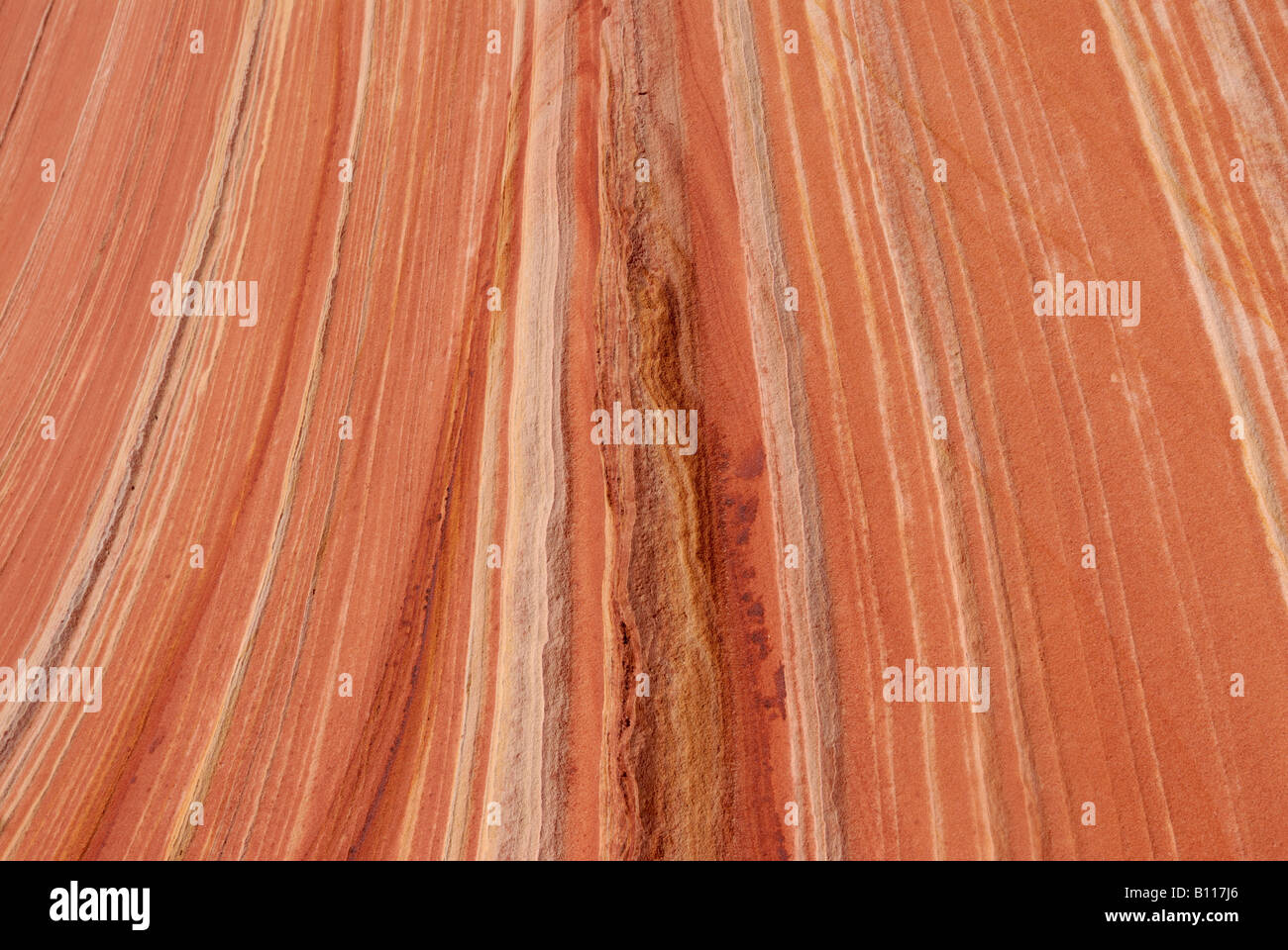 The beautiful rock formation The wave Vermillion Cliffs Utah USA Stock ...