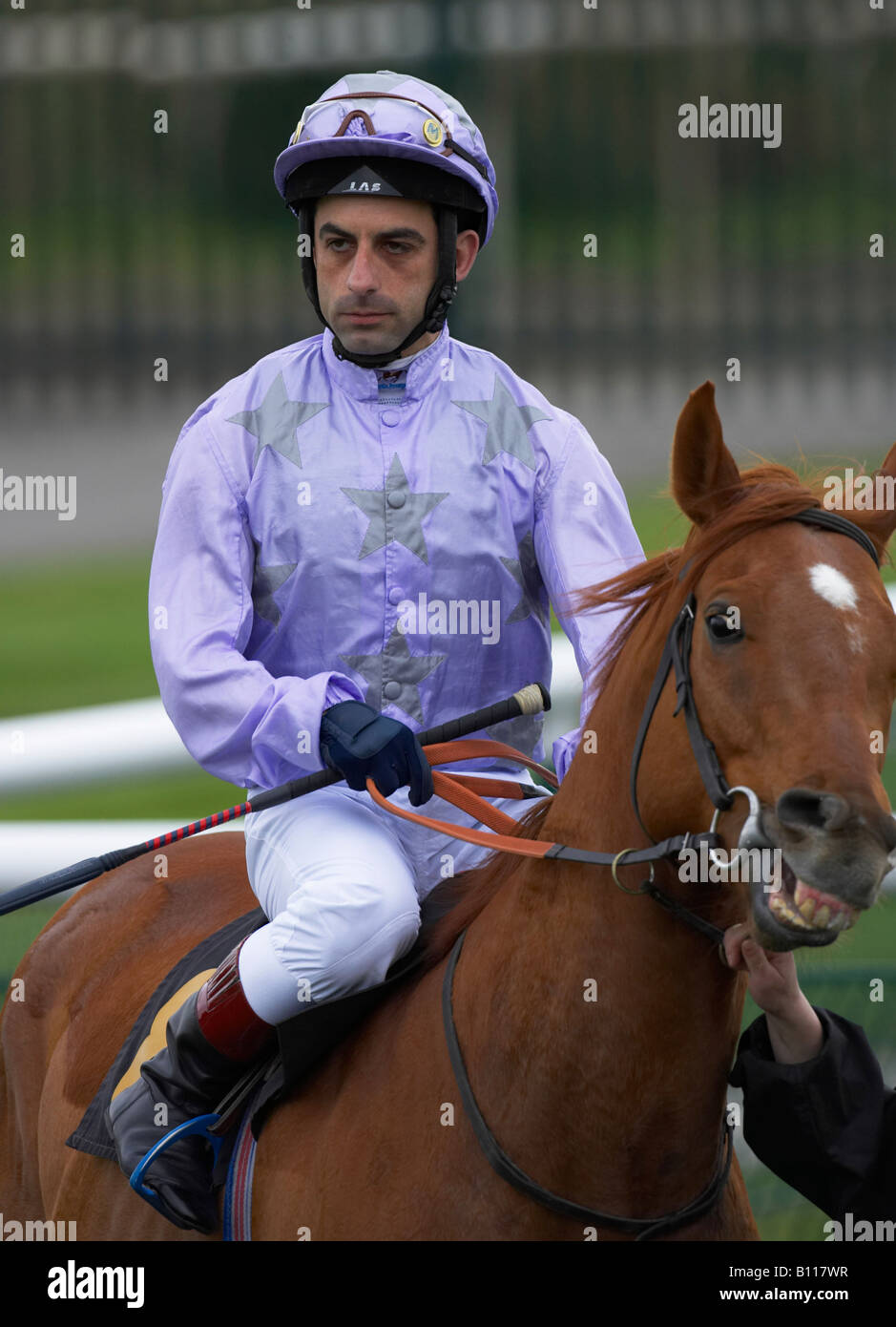 Horse racing jockey in the parade ring Stock Photo - Alamy