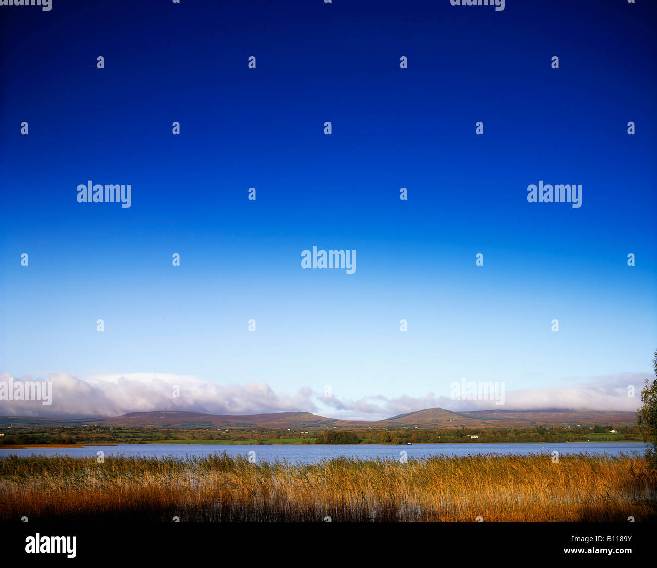 Brackleylough hi-res stock photography and images - Alamy