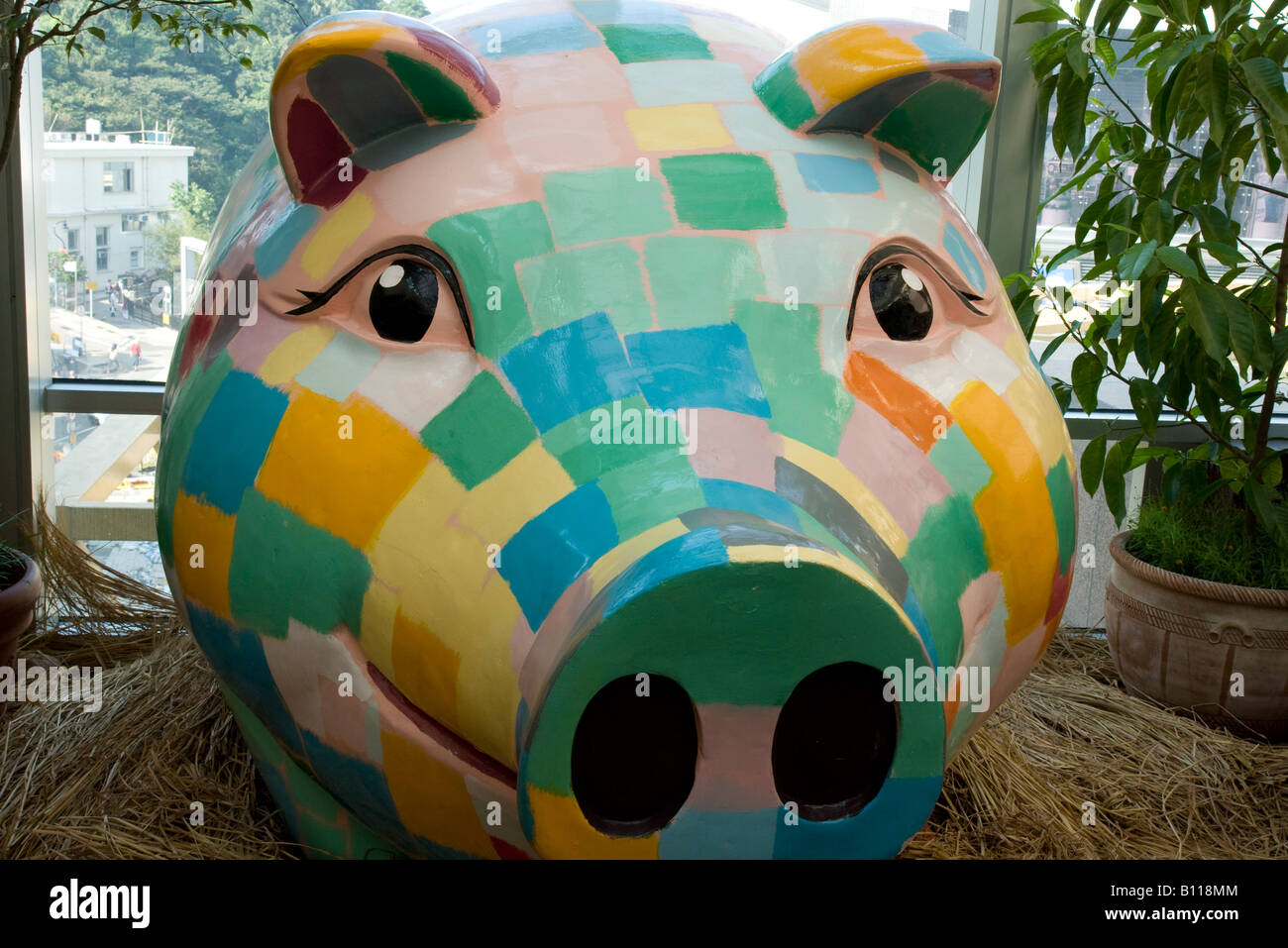 asia china hong kong pig 2007 Stock Photo - Alamy