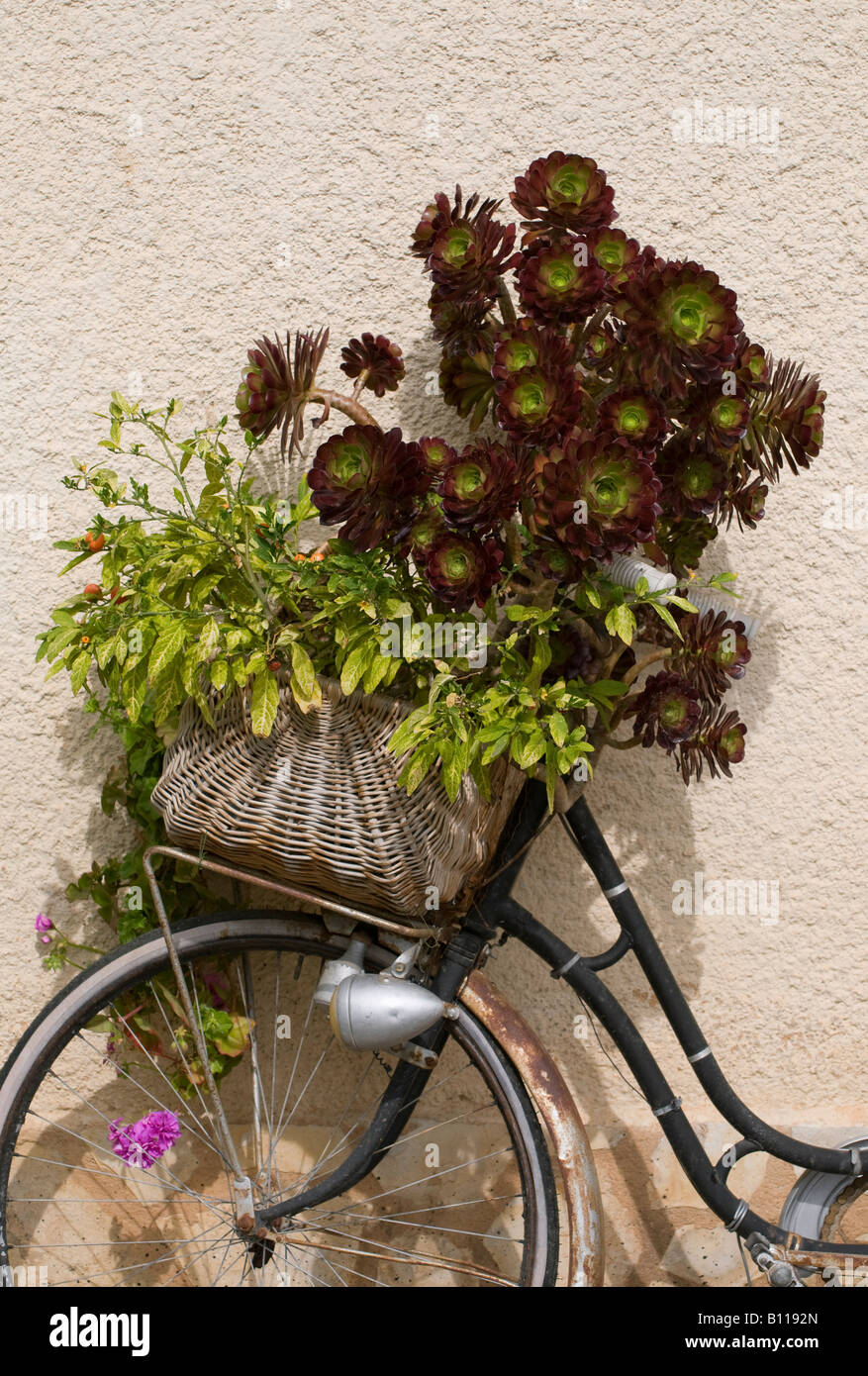Cycle bike flower display hi-res stock photography and images - Alamy