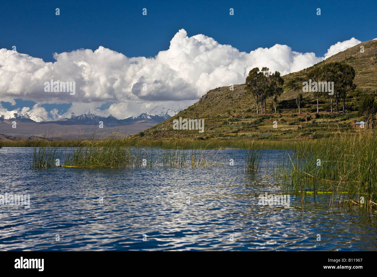 Lake Titicaca in Bolivia Stock Photo - Alamy