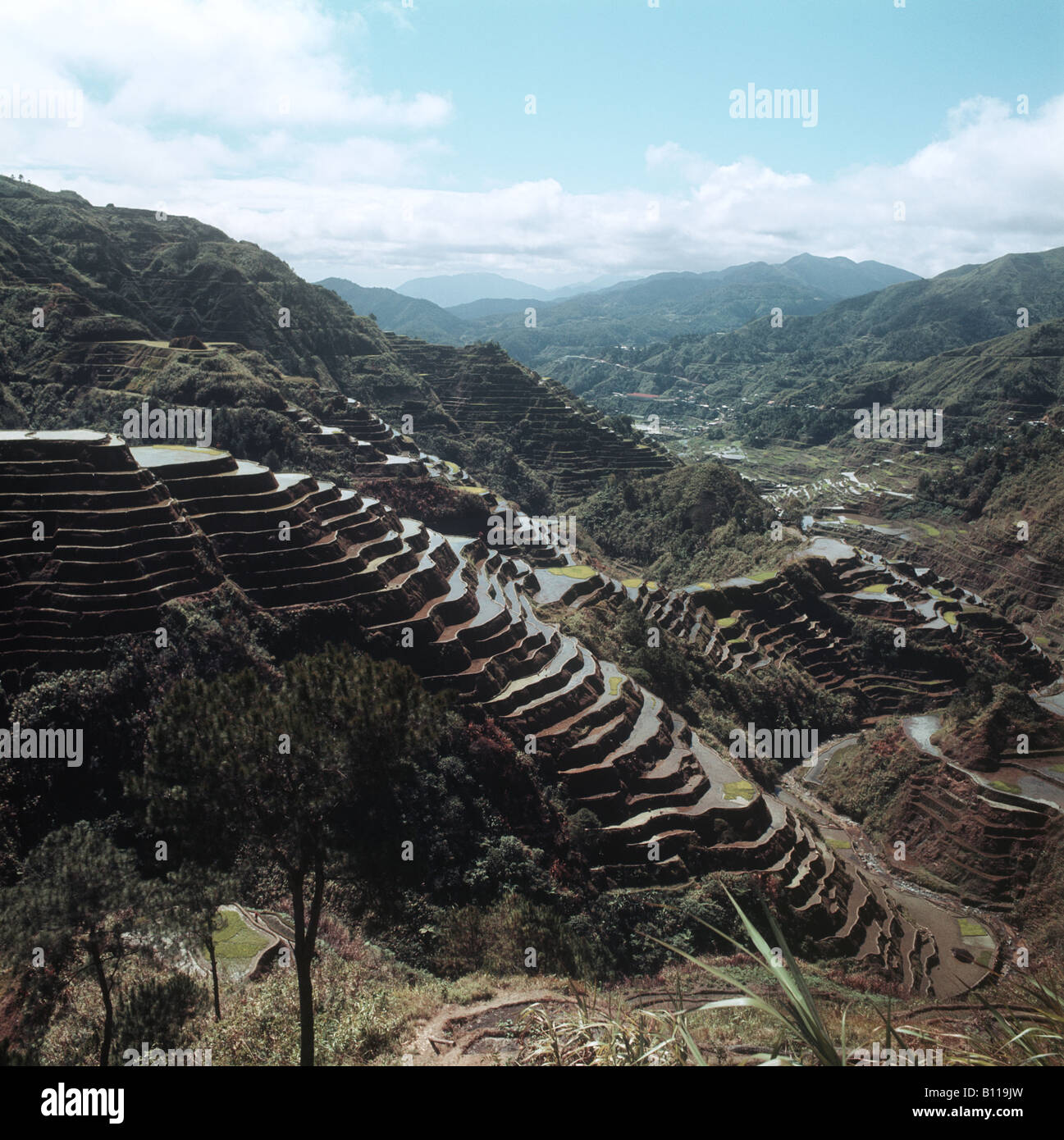 ThePhilippines.BanaueRiceTerraces are2000-year old terraces carved in ...