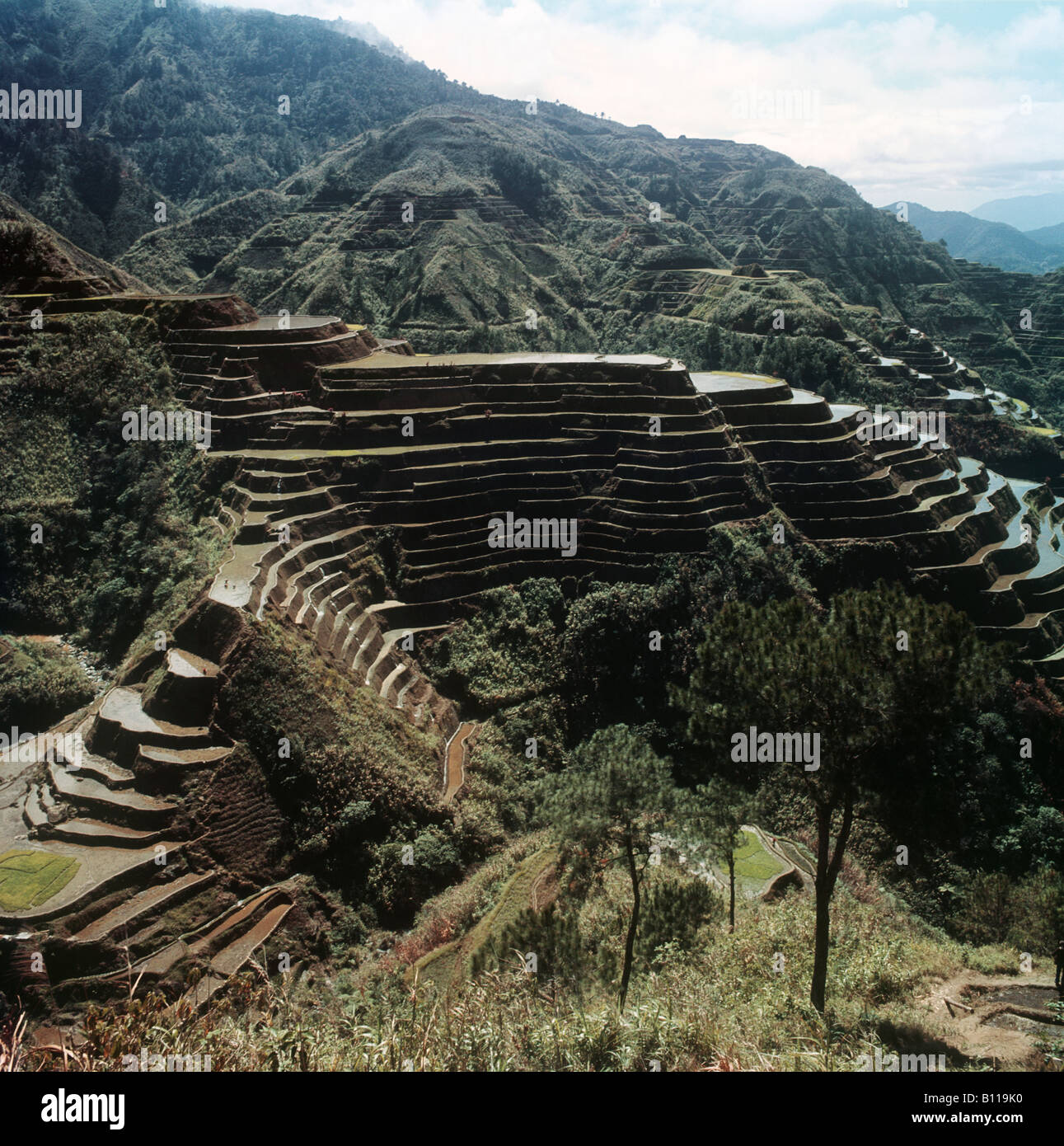ThePhilippines.BanaueRiceTerraces are2000-year old terraces carved in ...