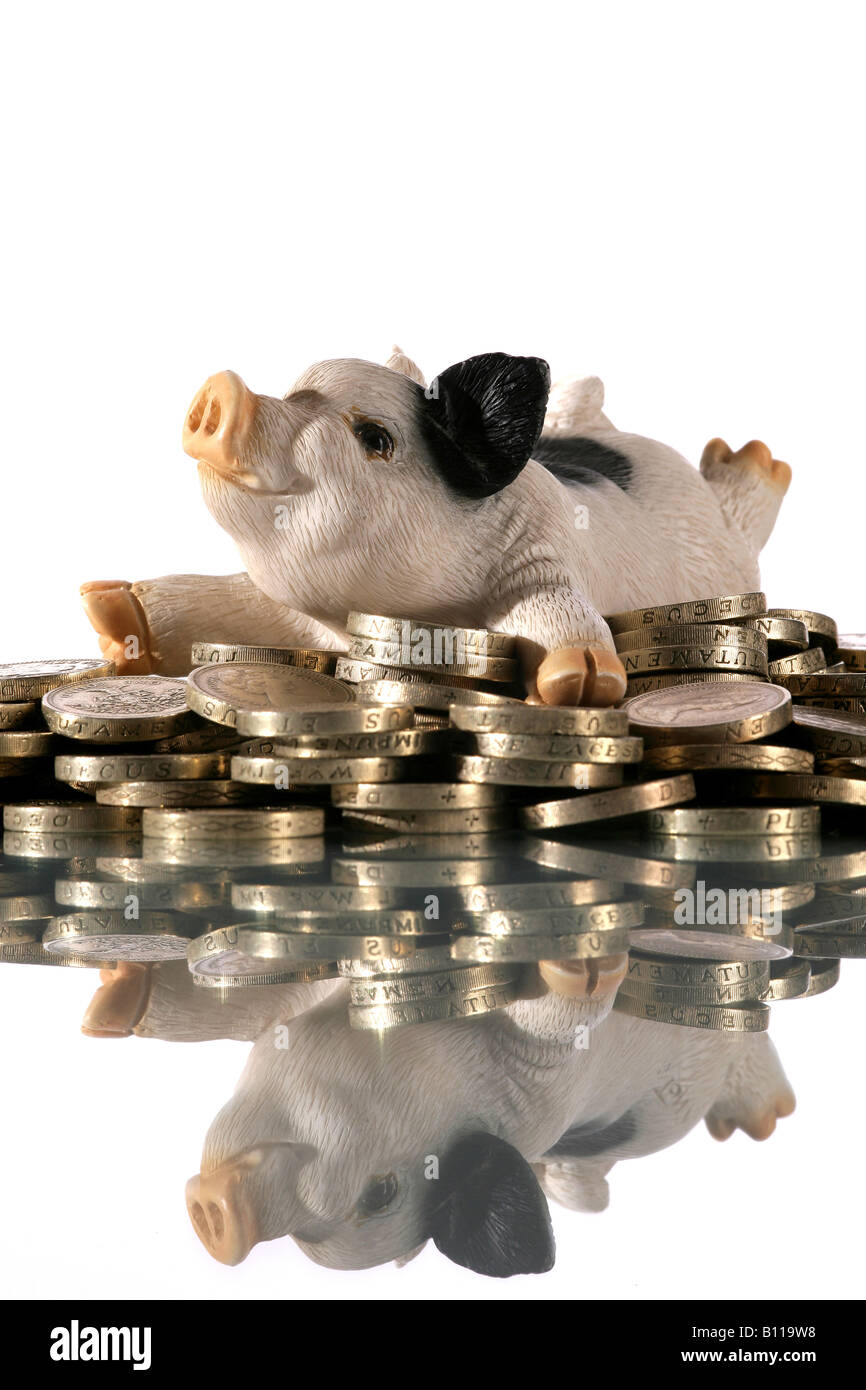 Greedy pig hi-res stock photography and images - Alamy