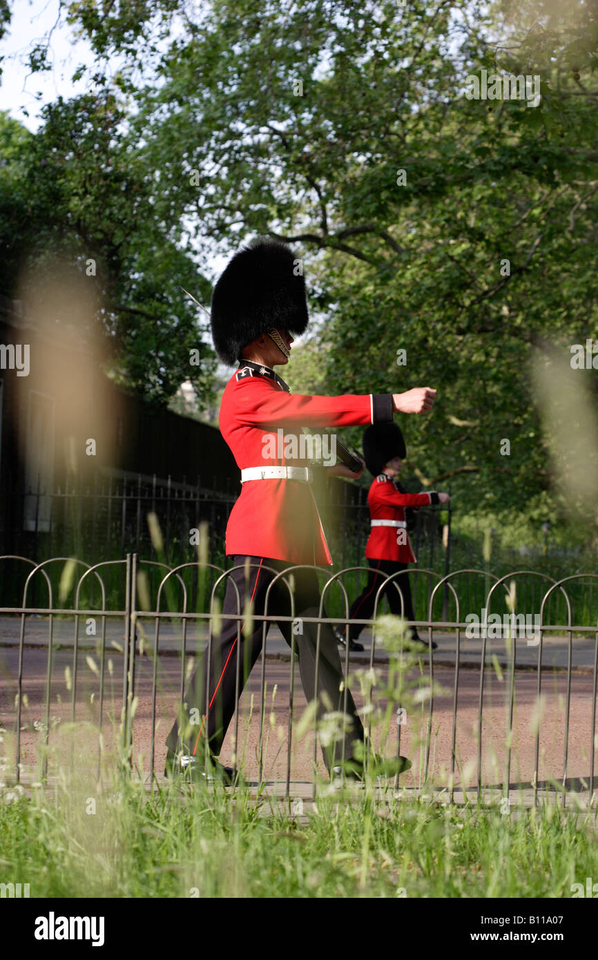 Guard busby bearskin soldier hi-res stock photography and images - Alamy