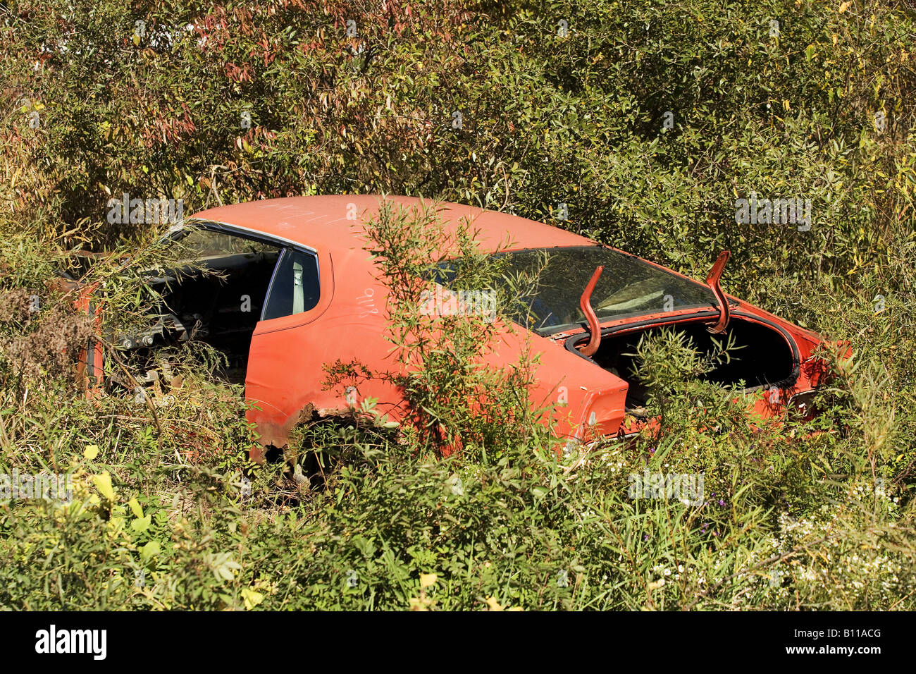 Rusty red wrecked car in field Stock Photo - Alamy