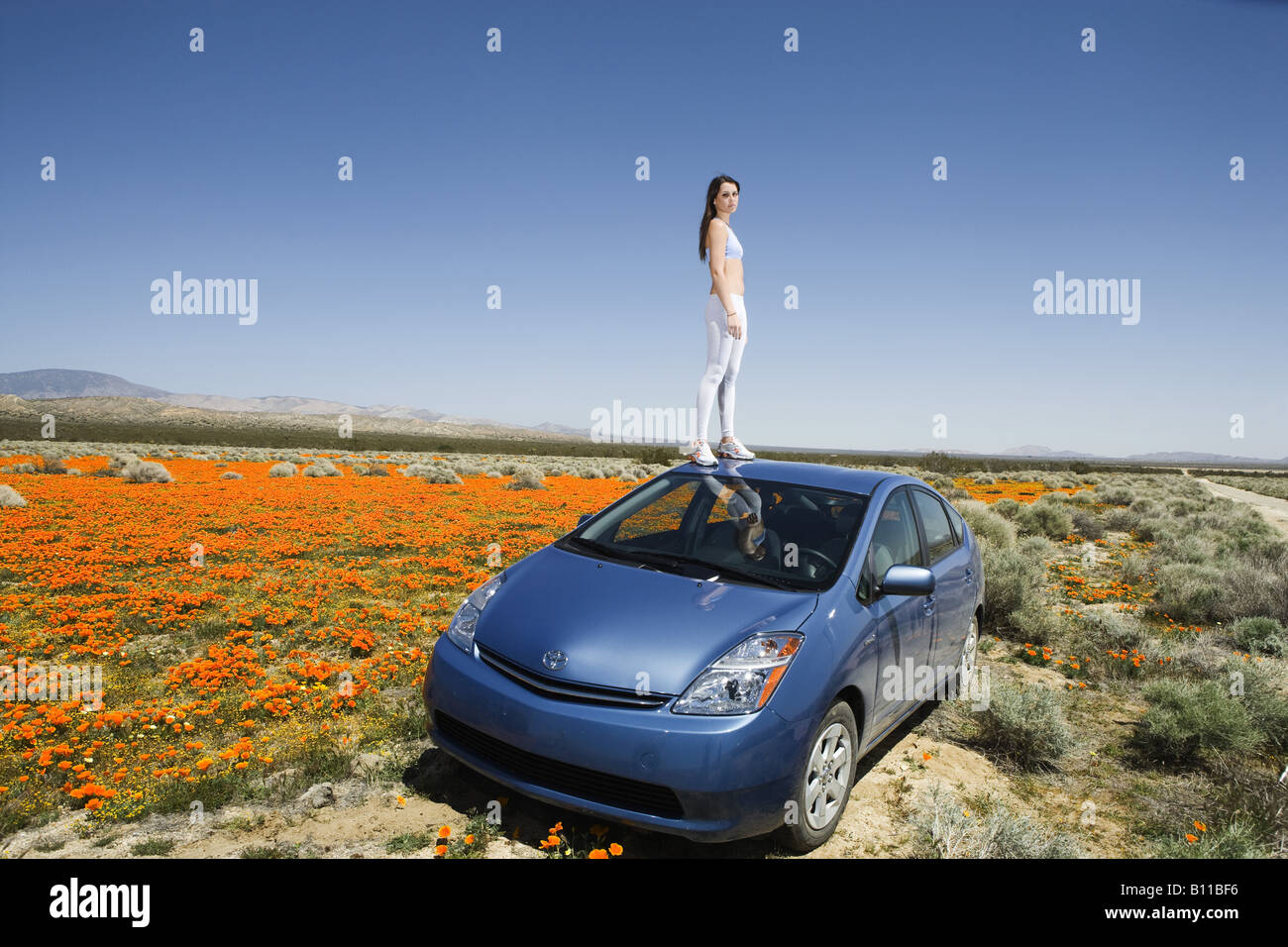 Young woman standing on top of blue Toyota Prius Stock Photo - Alamy