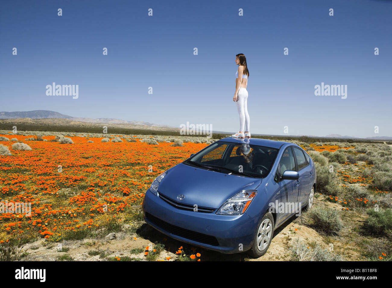 Toyota prius 2008 hi-res stock photography and images - Alamy