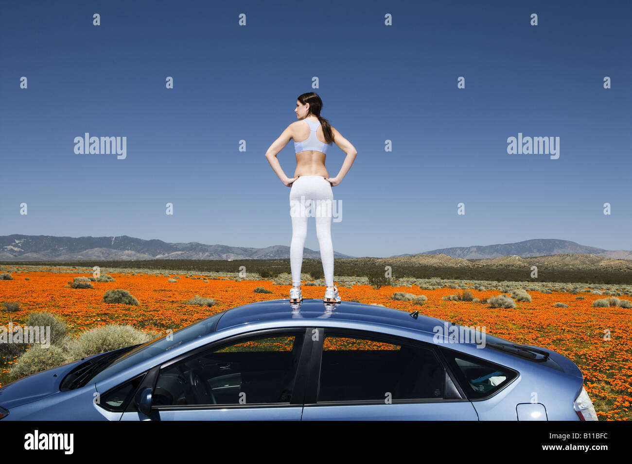 Young woman standing on top of blue Toyota Prius Stock Photo - Alamy