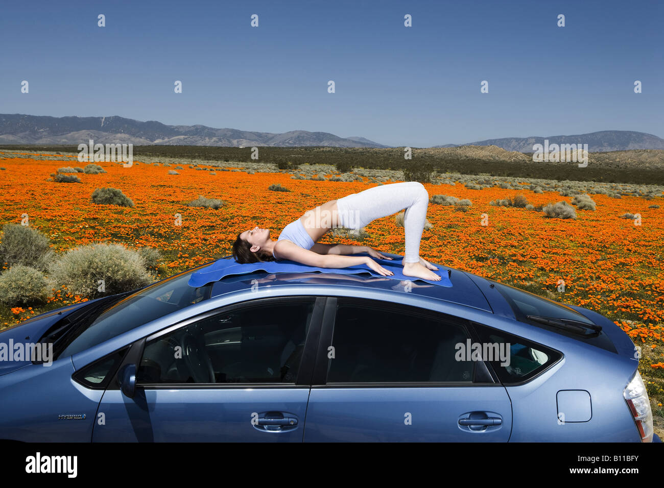 Young woman practicing yoga on roof of blue Toyota Prius Stock Photo ...