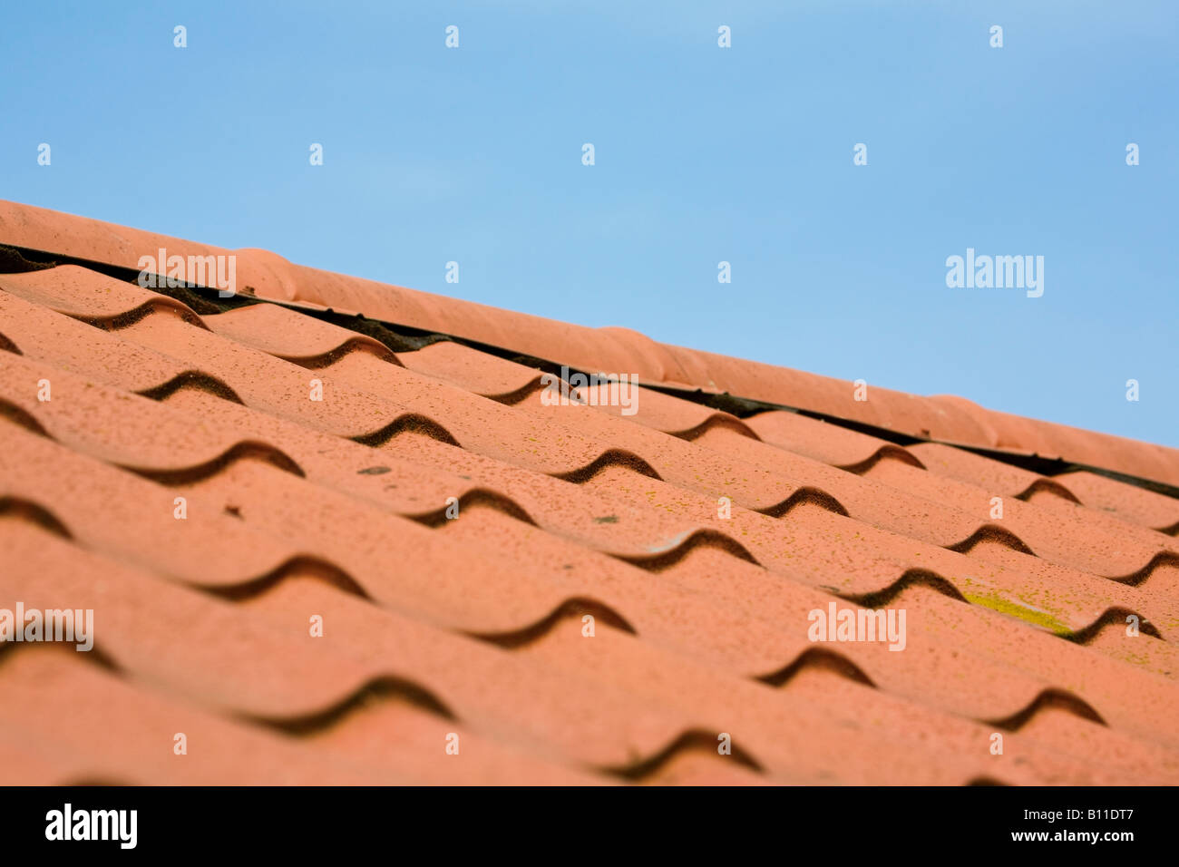 Red ridge roof tiles Stock Photo - Alamy