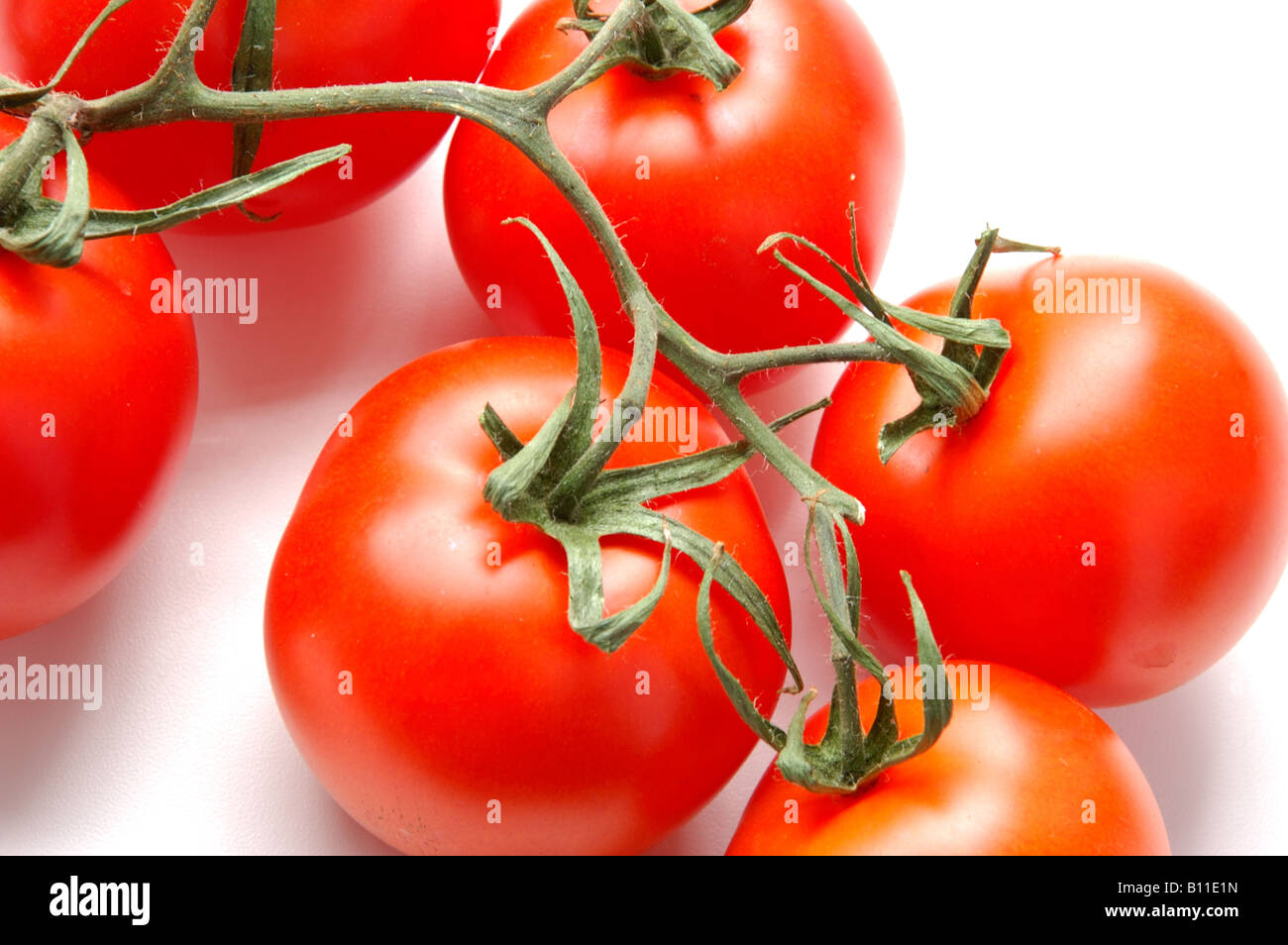 Red tomatos hi-res stock photography and images - Alamy