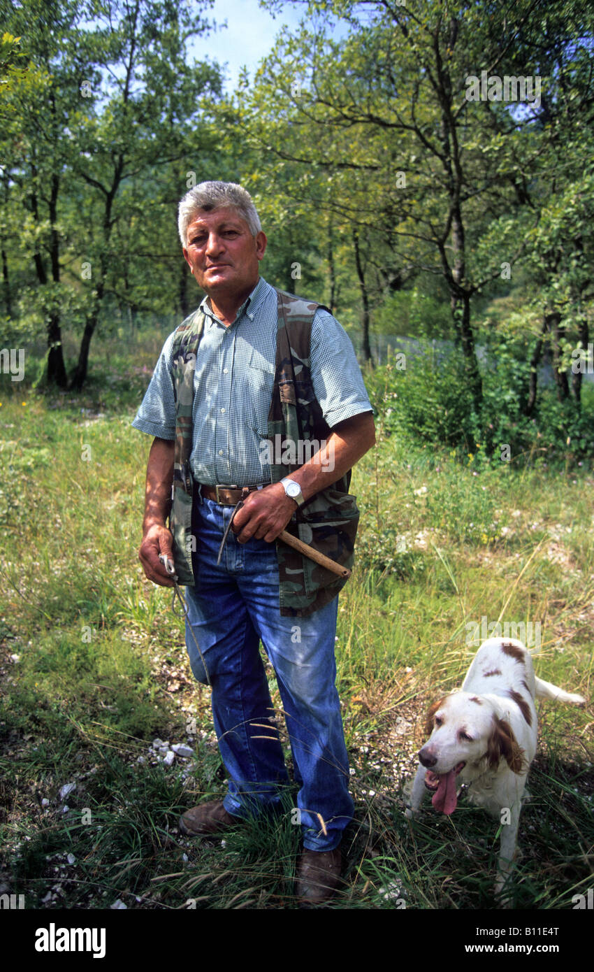 Italian hunting dog hi-res stock photography and images - Alamy