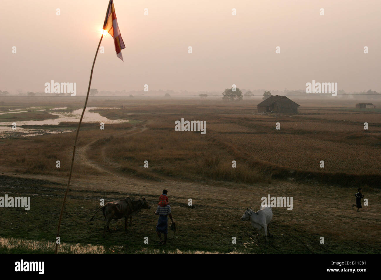 Morning view in Myanmar (Burma Stock Photo - Alamy