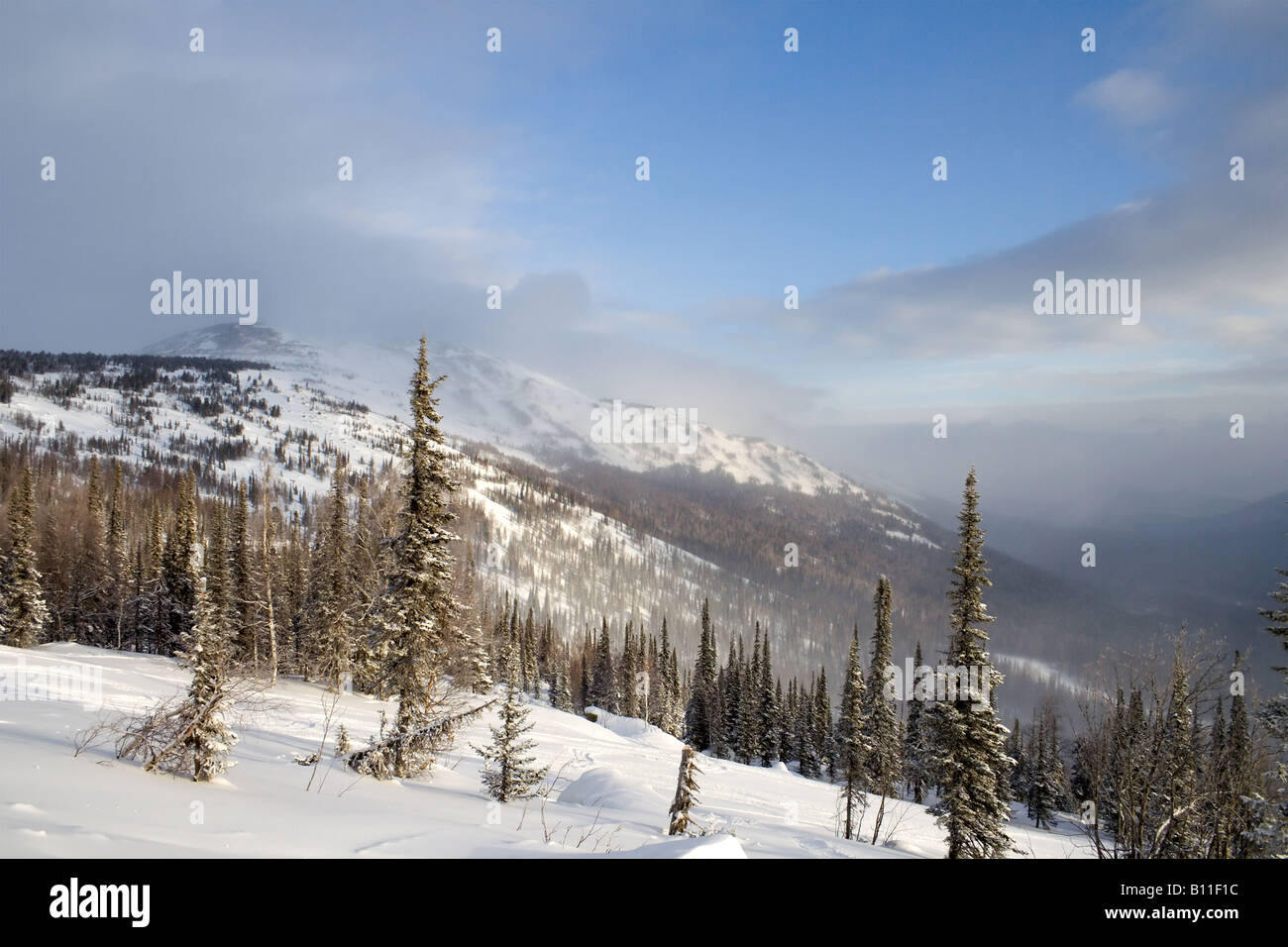 Alpine slope hi-res stock photography and images - Alamy