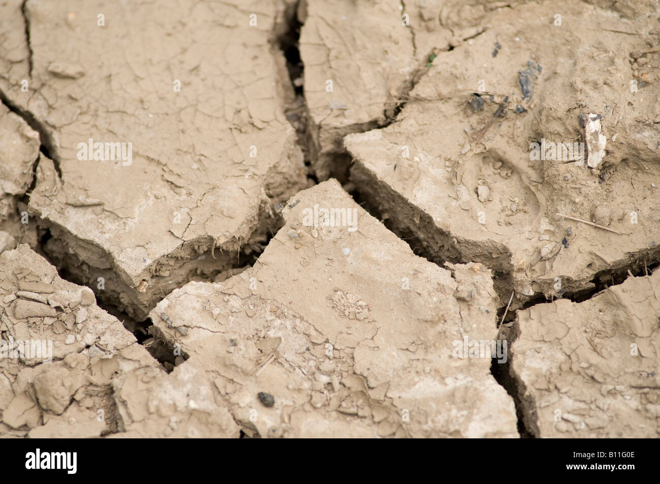 cracks in baked clay field Stock Photo - Alamy