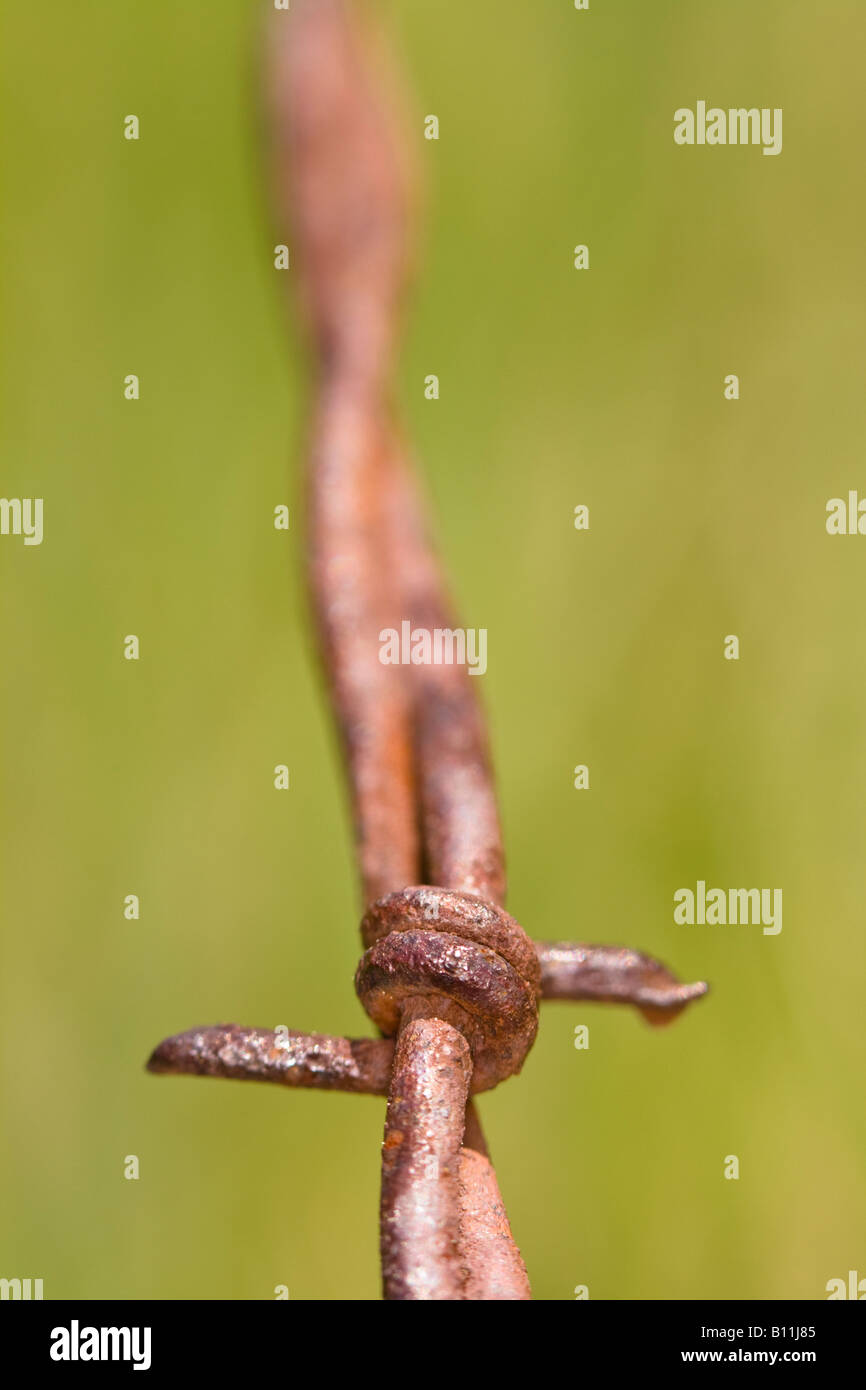 Old rusty iron spike hi-res stock photography and images - Alamy
