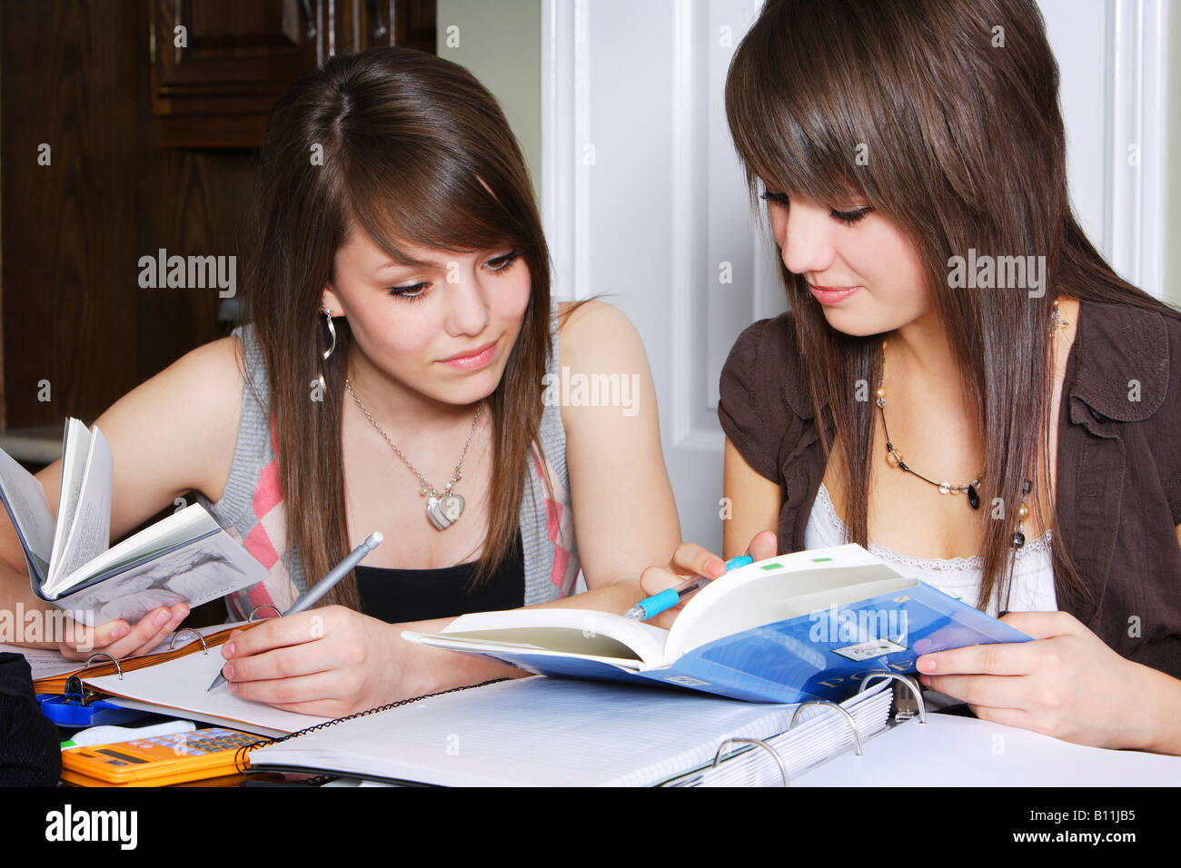Girls studying together Stock Photo - Alamy