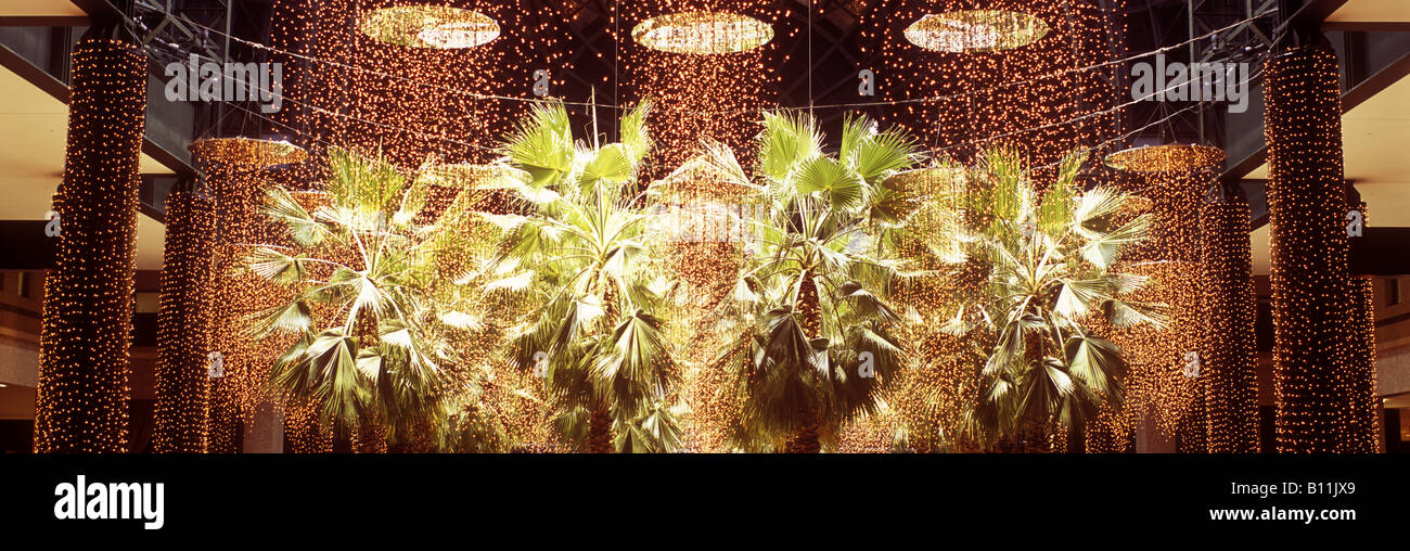 TOPS OF PALM TREES WINTER GARDEN ATRIUM PAVILION WORLD FINANCIAL CENTER ...