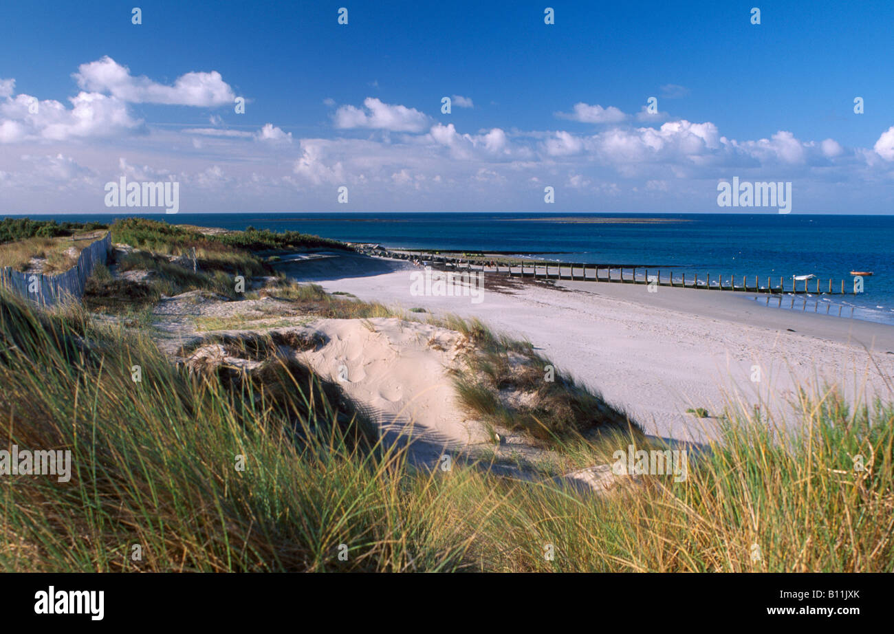 Devin france hi-res stock photography and images - Alamy