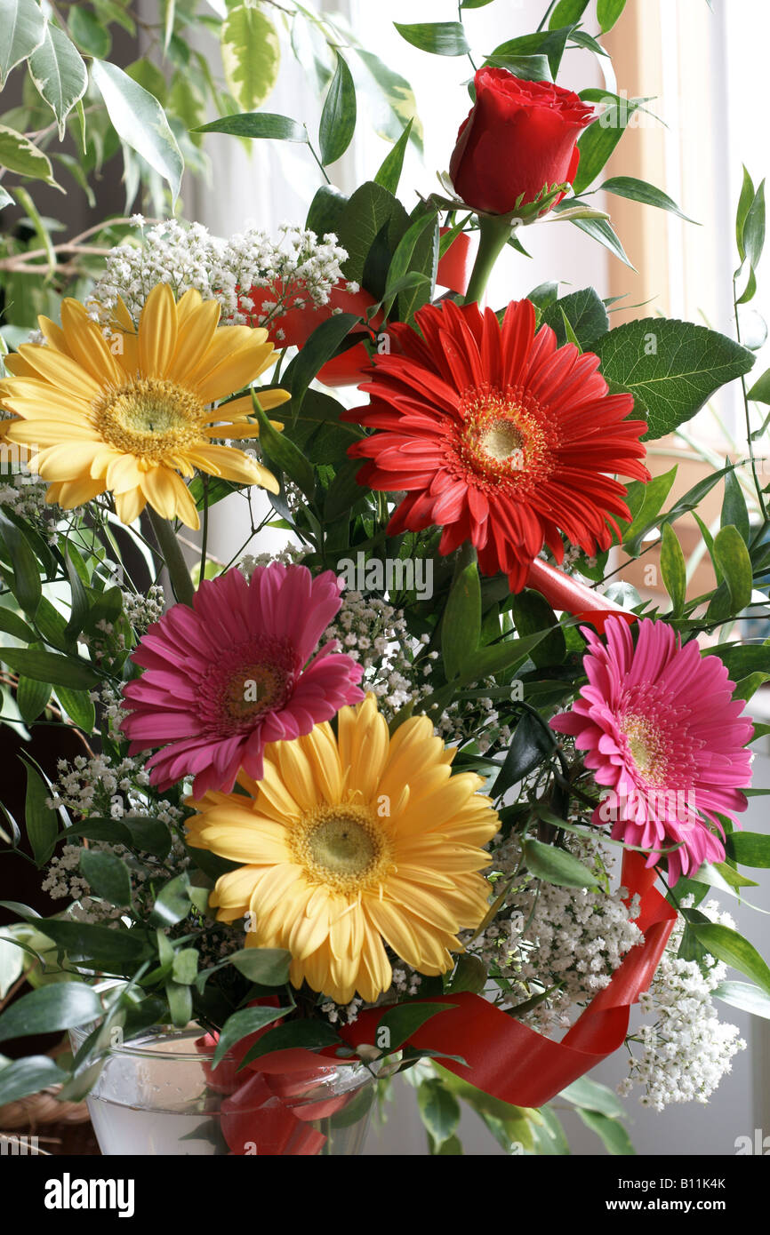 A red, yellow and pink gerbera flower bouquet Stock Photo - Alamy