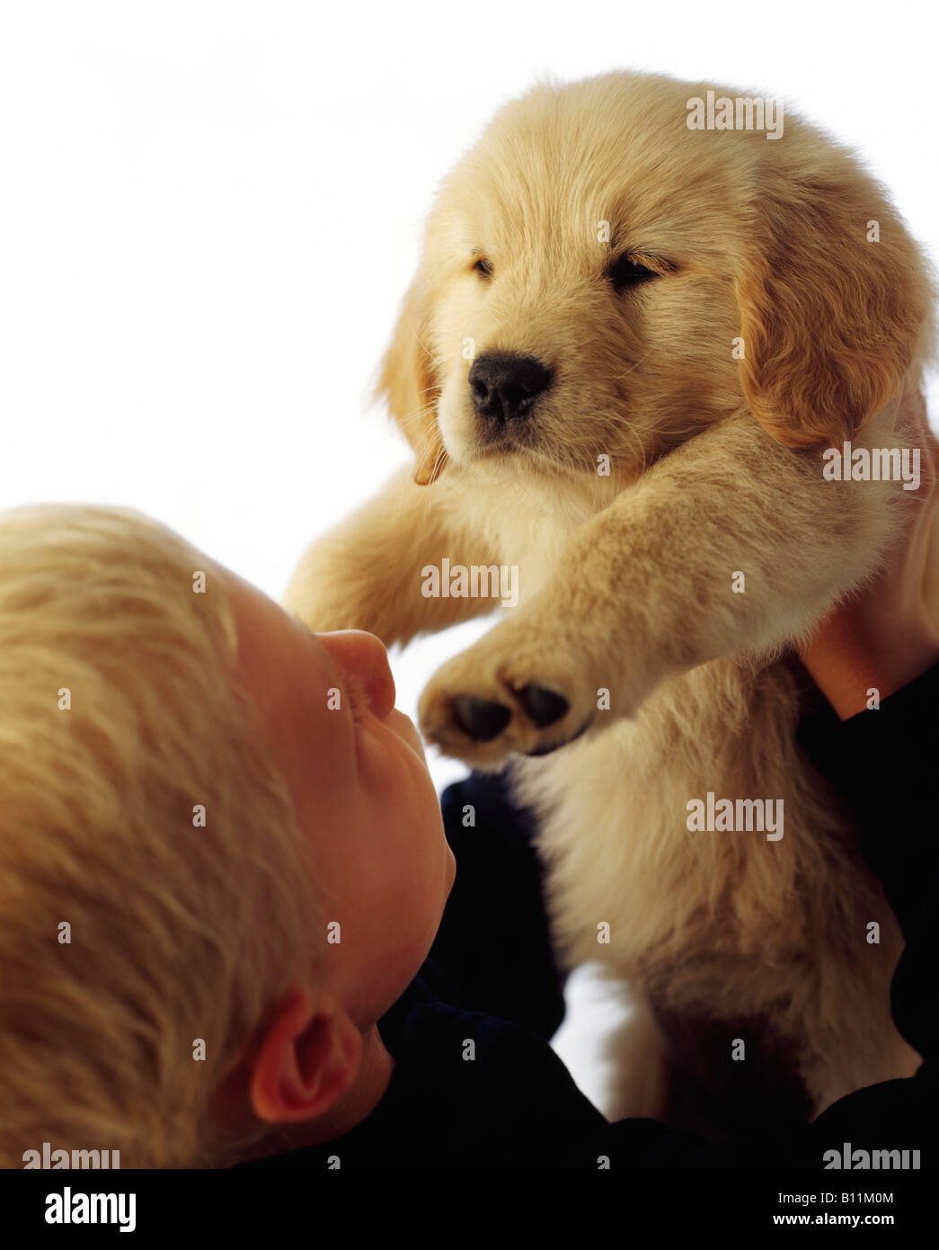 Boy holding puppy up Stock Photo - Alamy