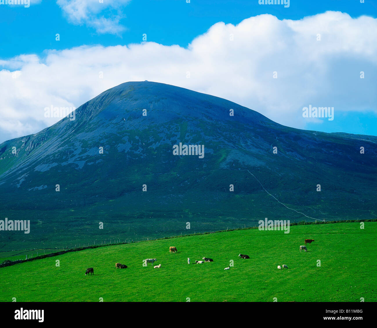Croagh Patrick, County Mayo, Ireland Stock Photo - Alamy