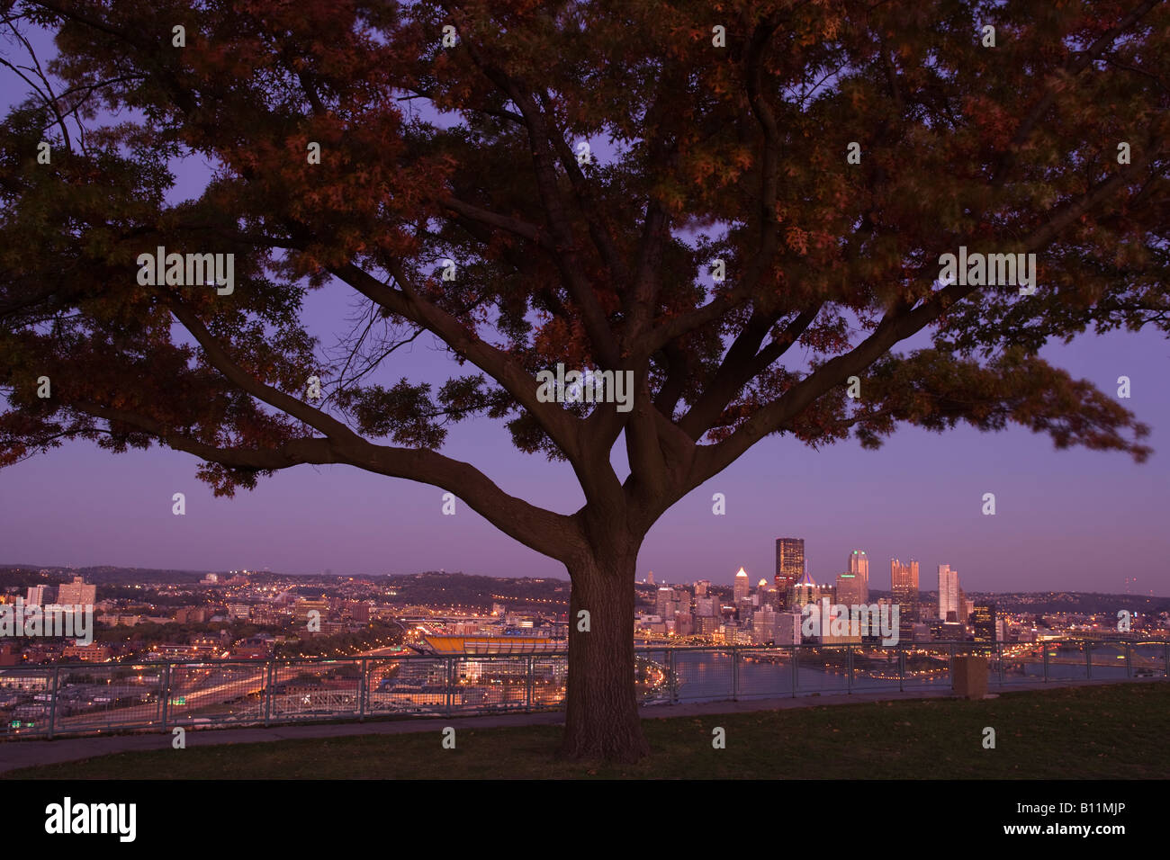 TREE WESTEND OVERLOOK PARK DOWNTOWN SKYLINE PITTSBURGH PENNSYLVANIA USA ...