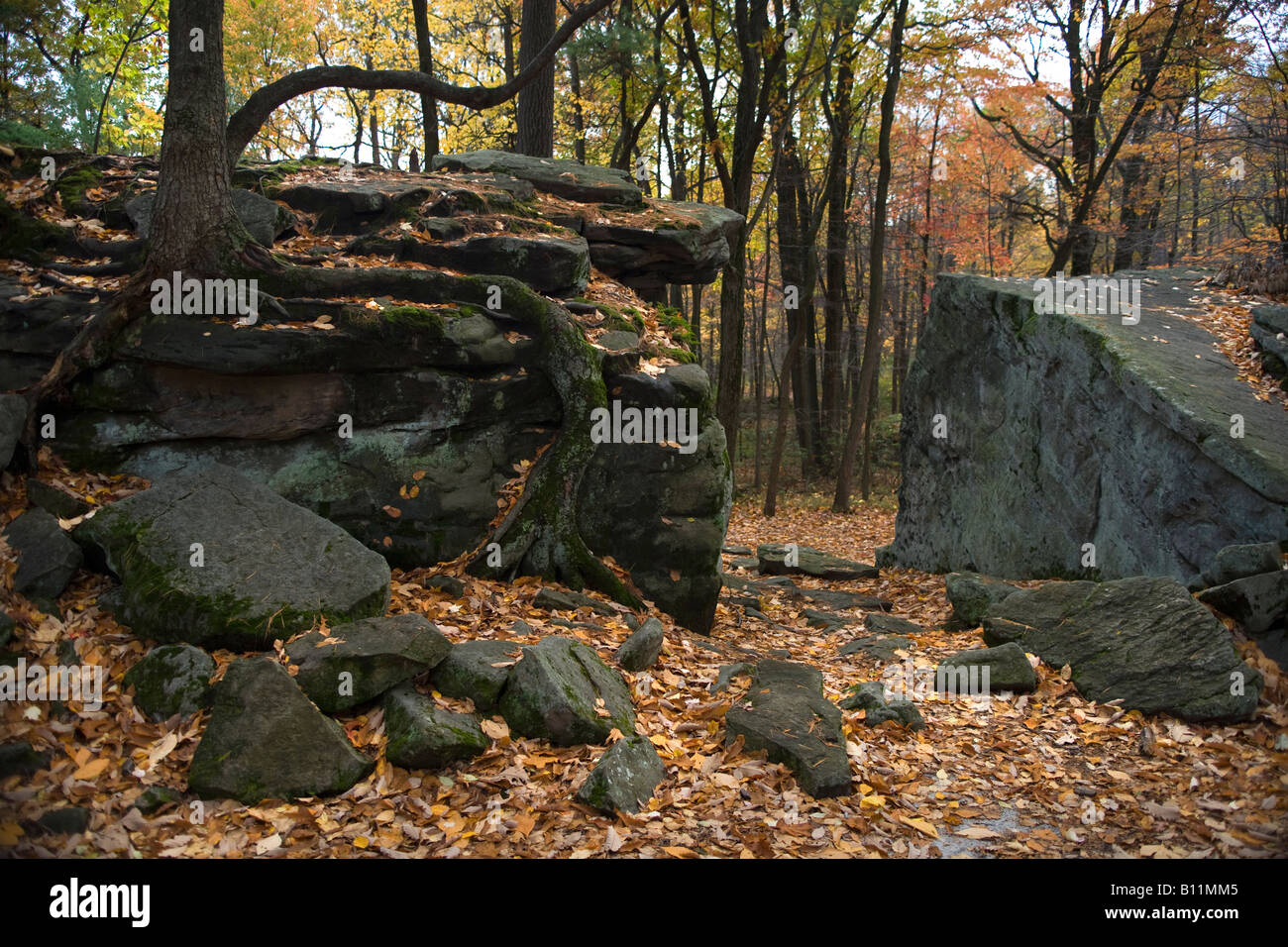 BEARTOWN ROCKS CLEAR CREEK STATE PARK COOK FOREST WESTERN PENNSYLVANIA ...