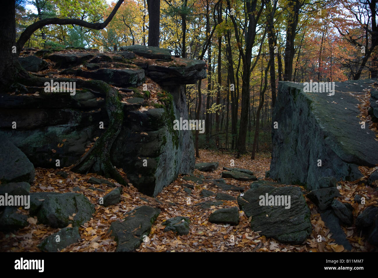 BEARTOWN ROCKS CLEAR CREEK STATE PARK COOK FOREST WESTERN PENNSYLVANIA ...