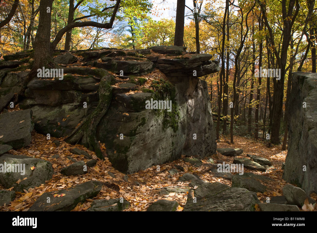 BEARTOWN ROCKS CLEAR CREEK STATE PARK COOK FOREST WESTERN PENNSYLVANIA ...