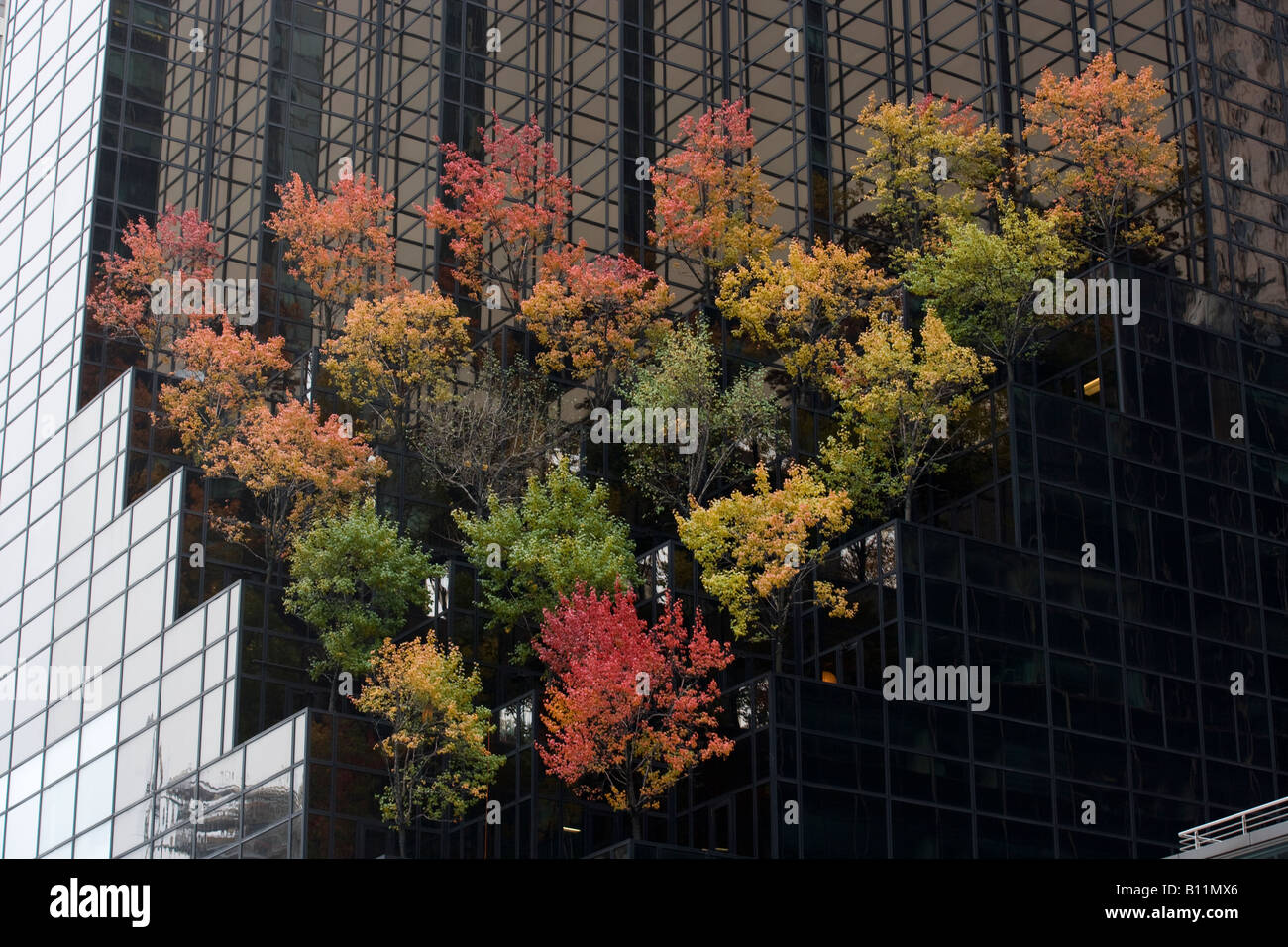 Trump tower trees manhattan hi-res stock photography and images - Alamy