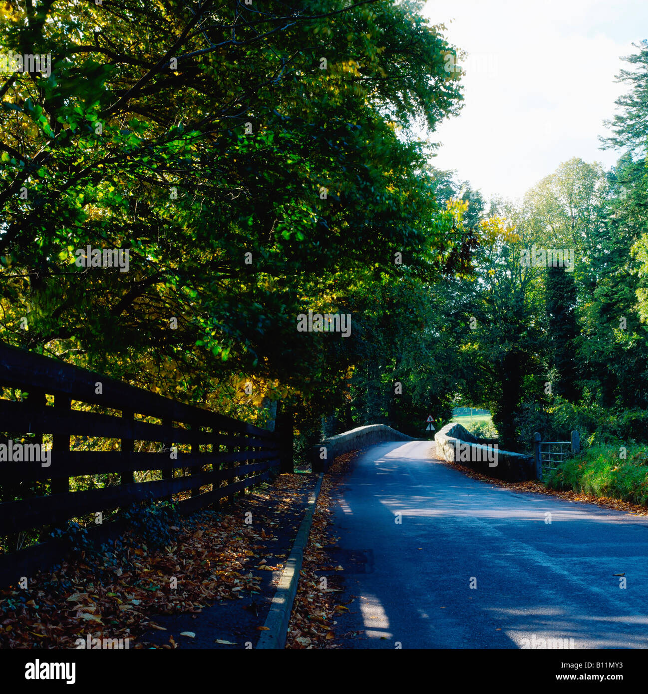 Rural Road, Co Armagh, Ireland Stock Photo - Alamy