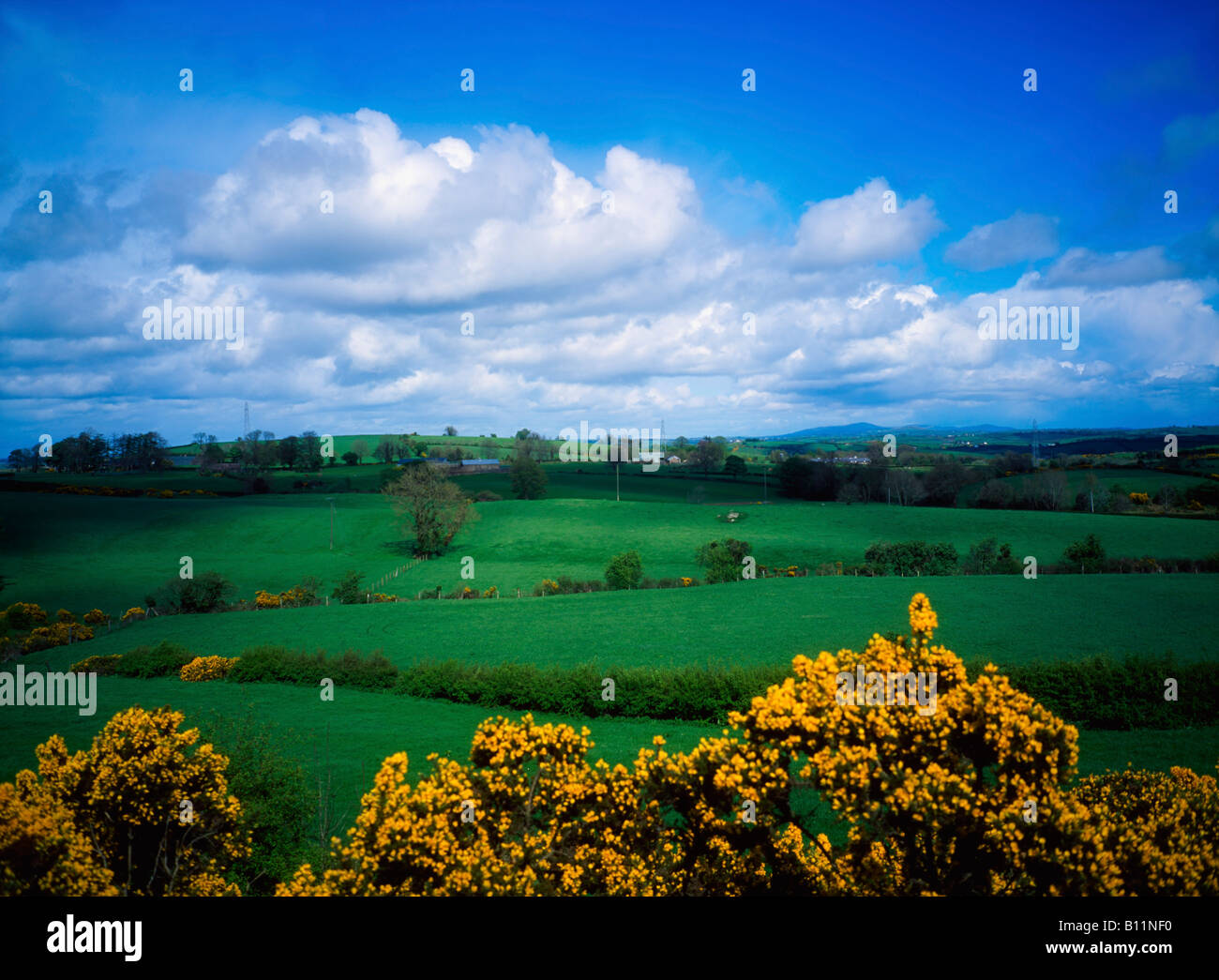 County armagh countryside hi-res stock photography and images - Alamy