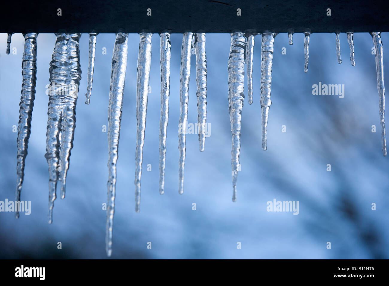 ROW OF ICICLES Stock Photo - Alamy