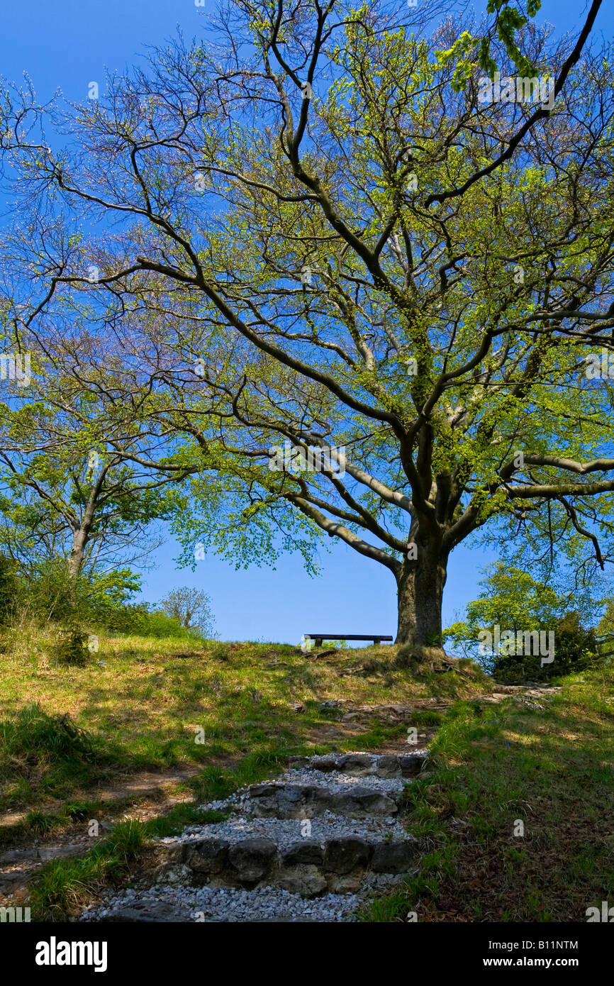 Summit steps hi-res stock photography and images - Alamy