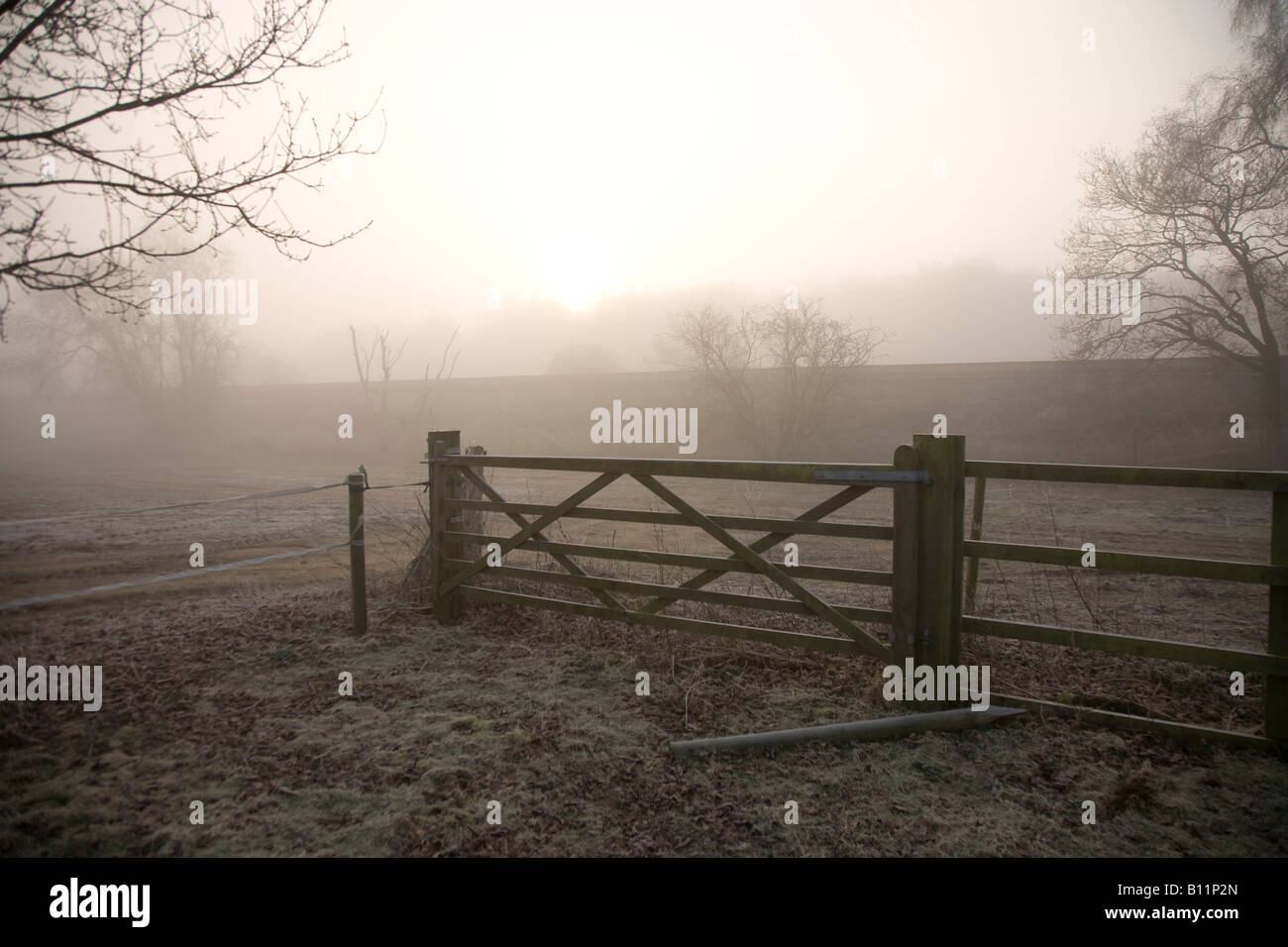Gate and fence in mist Stock Photo - Alamy