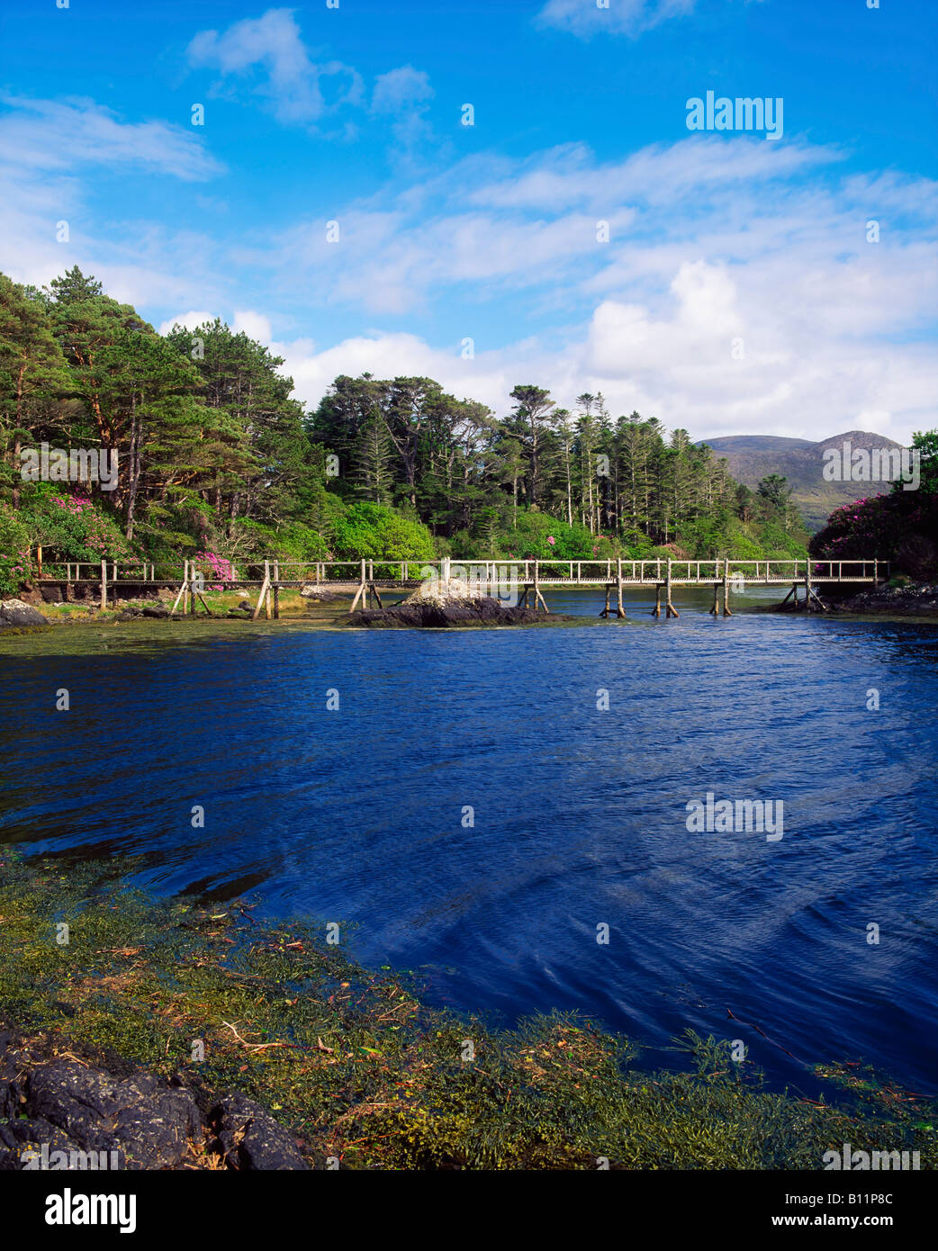 Wooden Footbridge, Derreen, Co Kerry, Ireland Stock Photo - Alamy