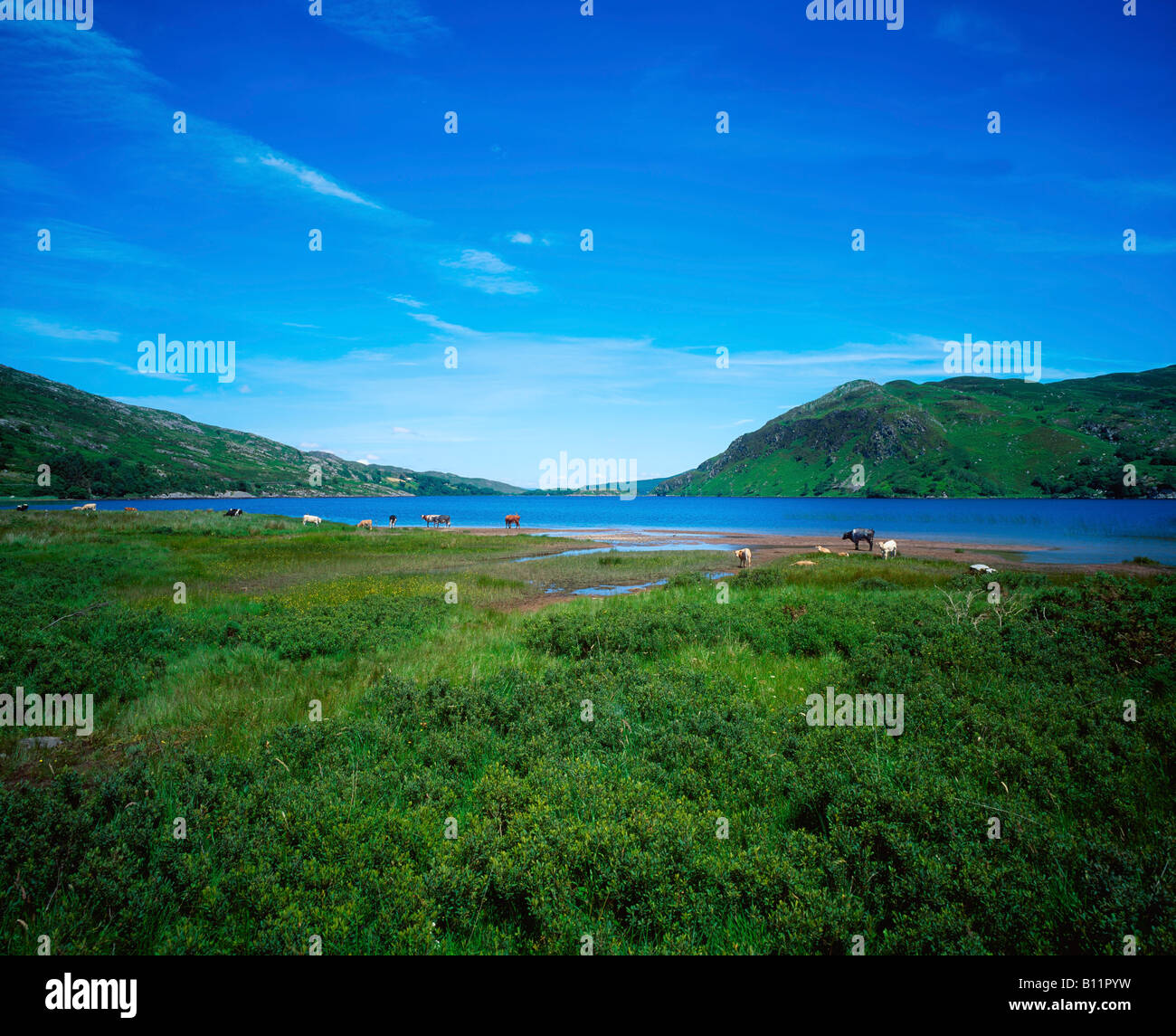 Lough Caragh, County Kerry, Ireland Stock Photo - Alamy