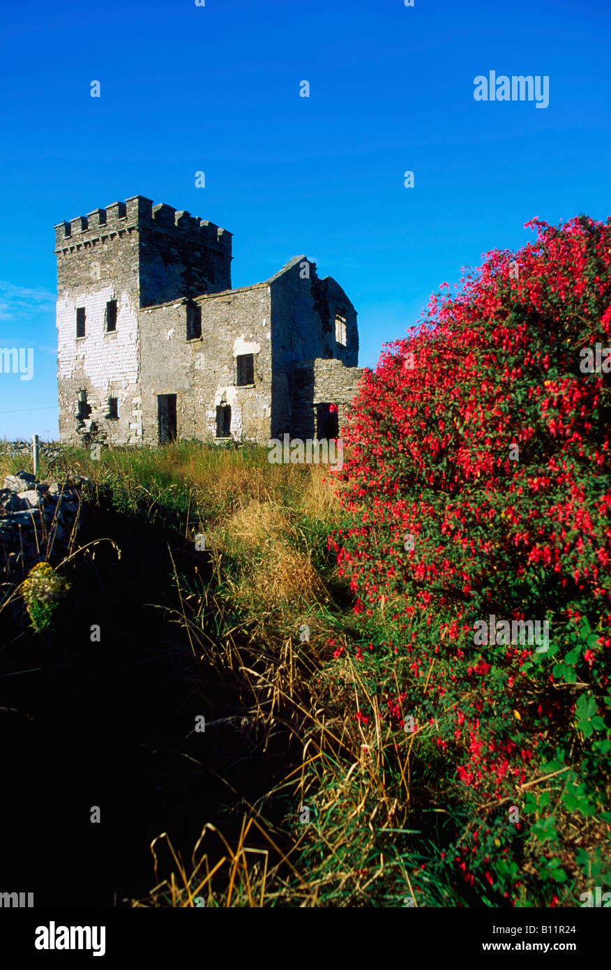 Co Cork, signal tower near Skibbereen, Ireland Stock Photo - Alamy