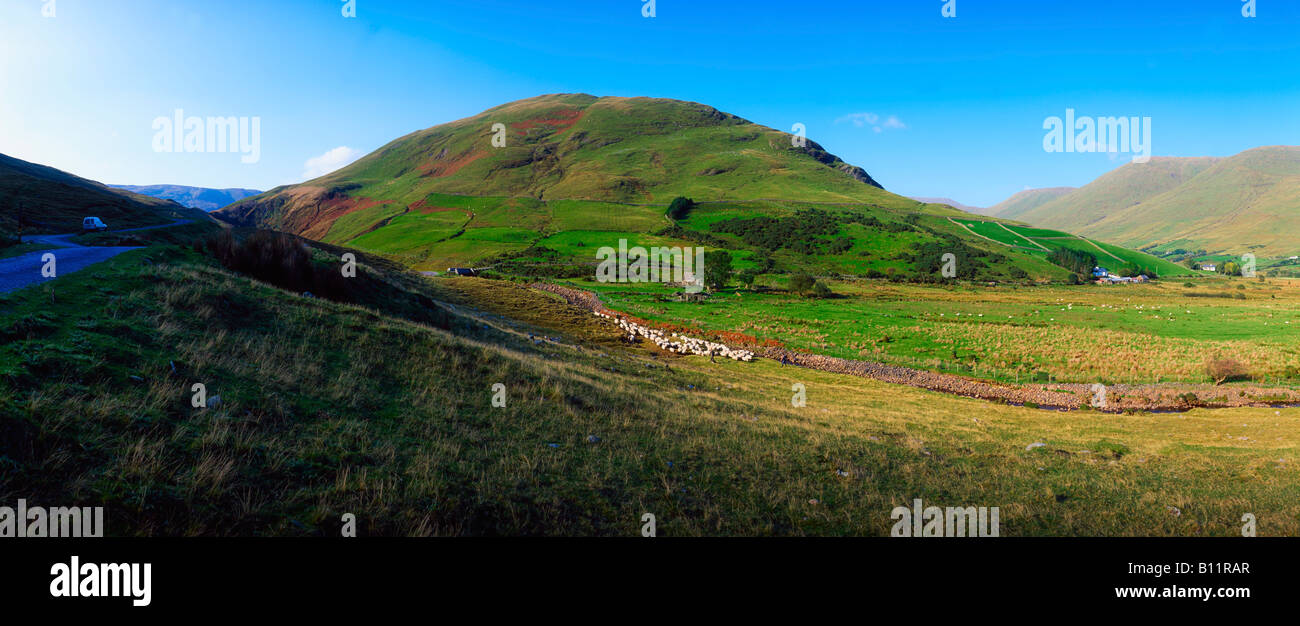 Connemara farms hi-res stock photography and images - Alamy