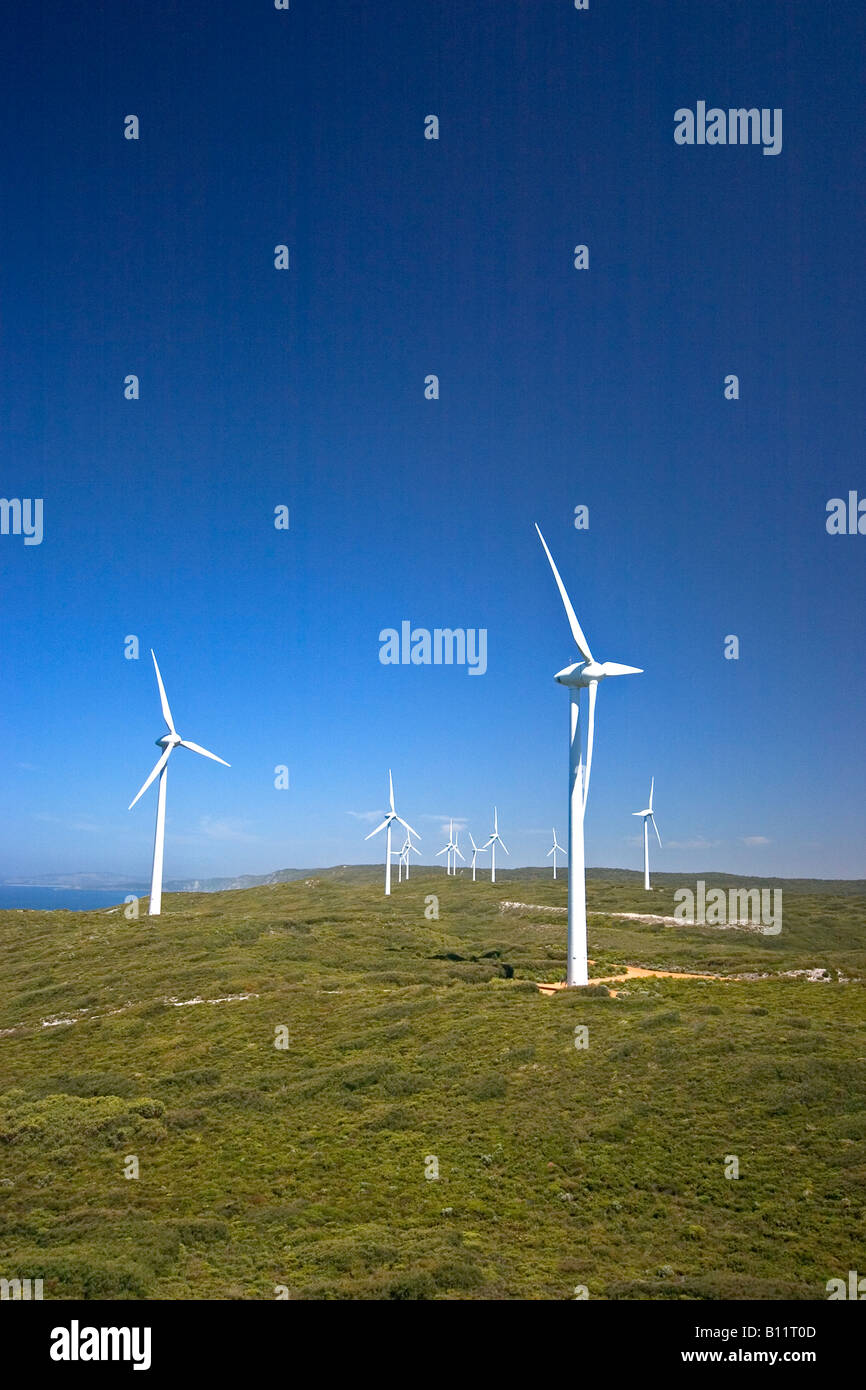 Wind turbine albany farm hi-res stock photography and images - Alamy