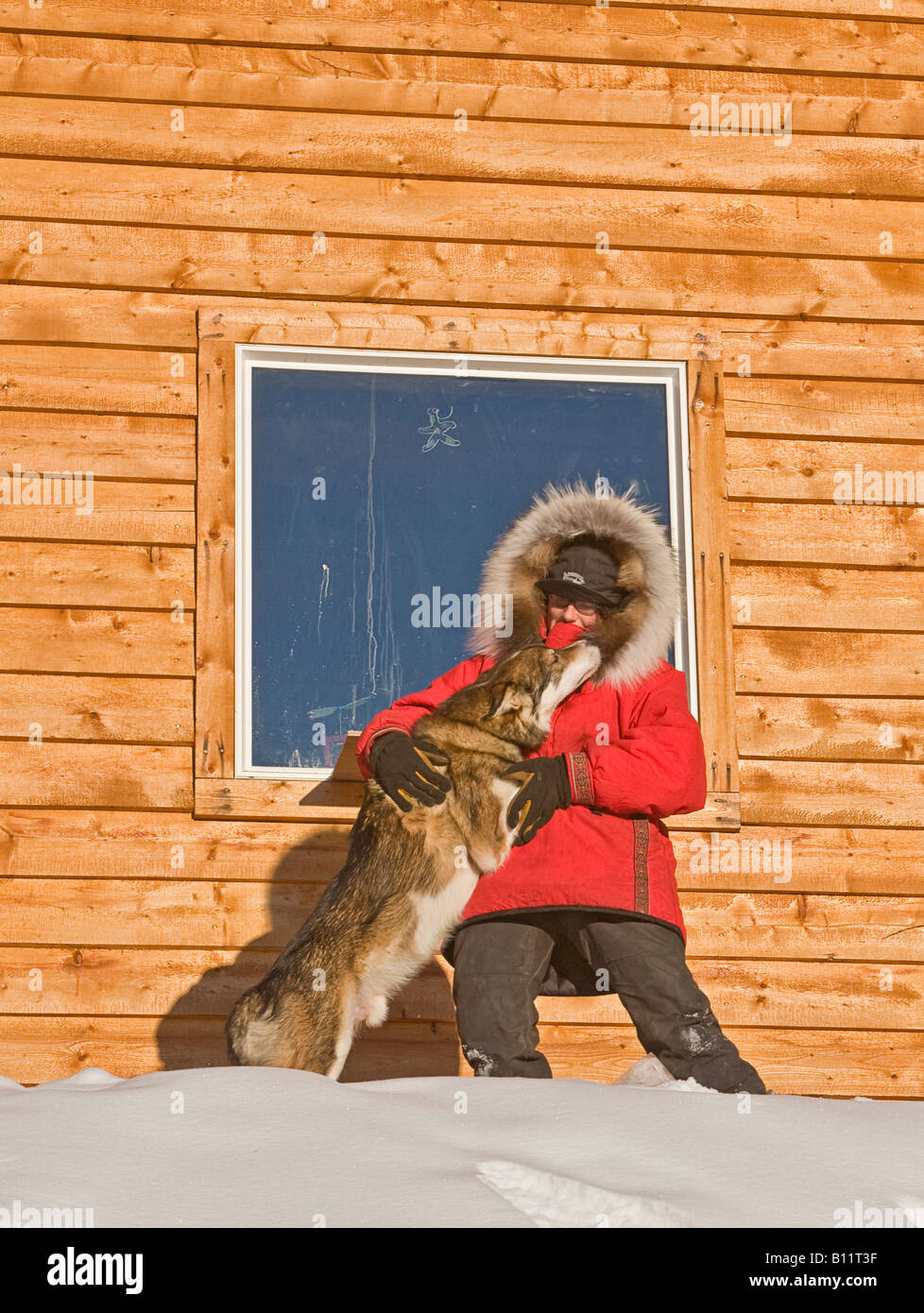 Dogsled musher Julie Estey with one of her racing dogs by her cabin in ...