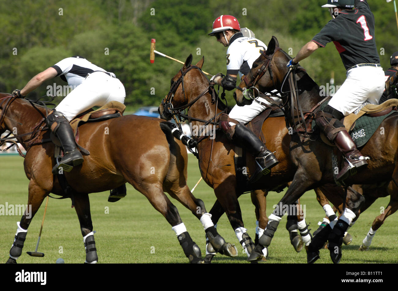 Polo sport winning hi-res stock photography and images - Alamy