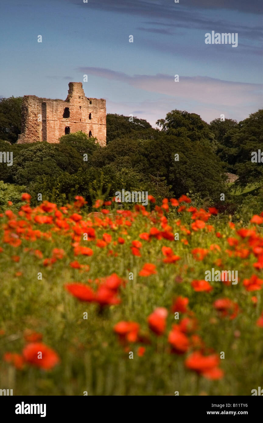 The Norman keep of Norham Castle over a field of poppies. Famous for it ...